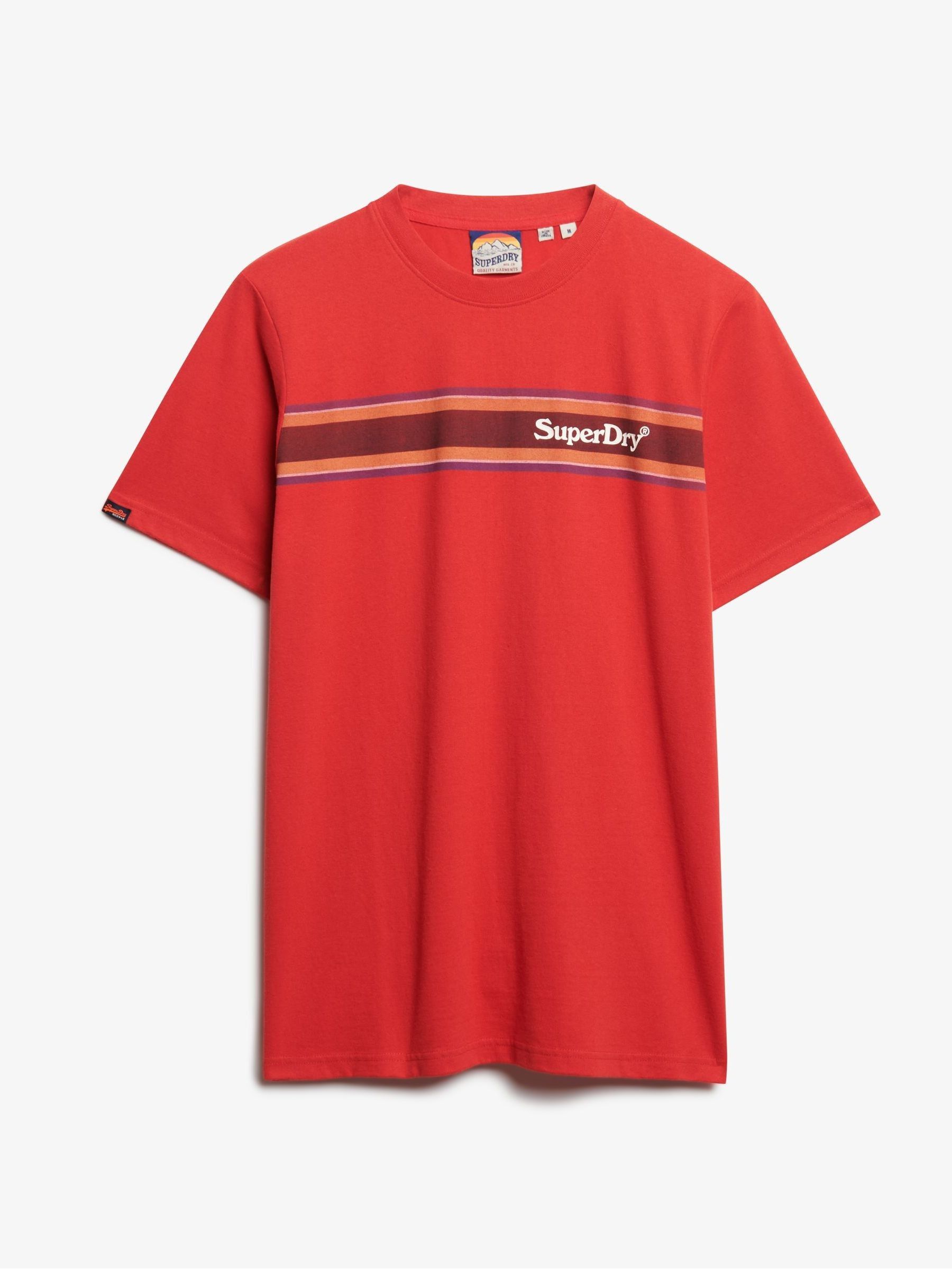 Buy Superdry Venue Logo Stripe Relaxed T-Shirt from Next Egypt