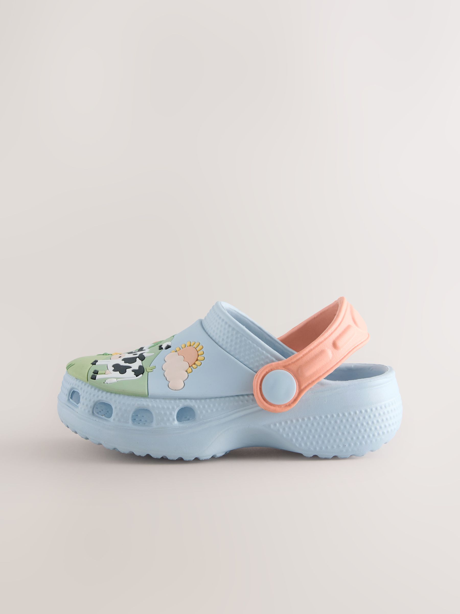 Buy Blue/Green Farm Standard Fit (F) Character Clogs from the Next UK ...