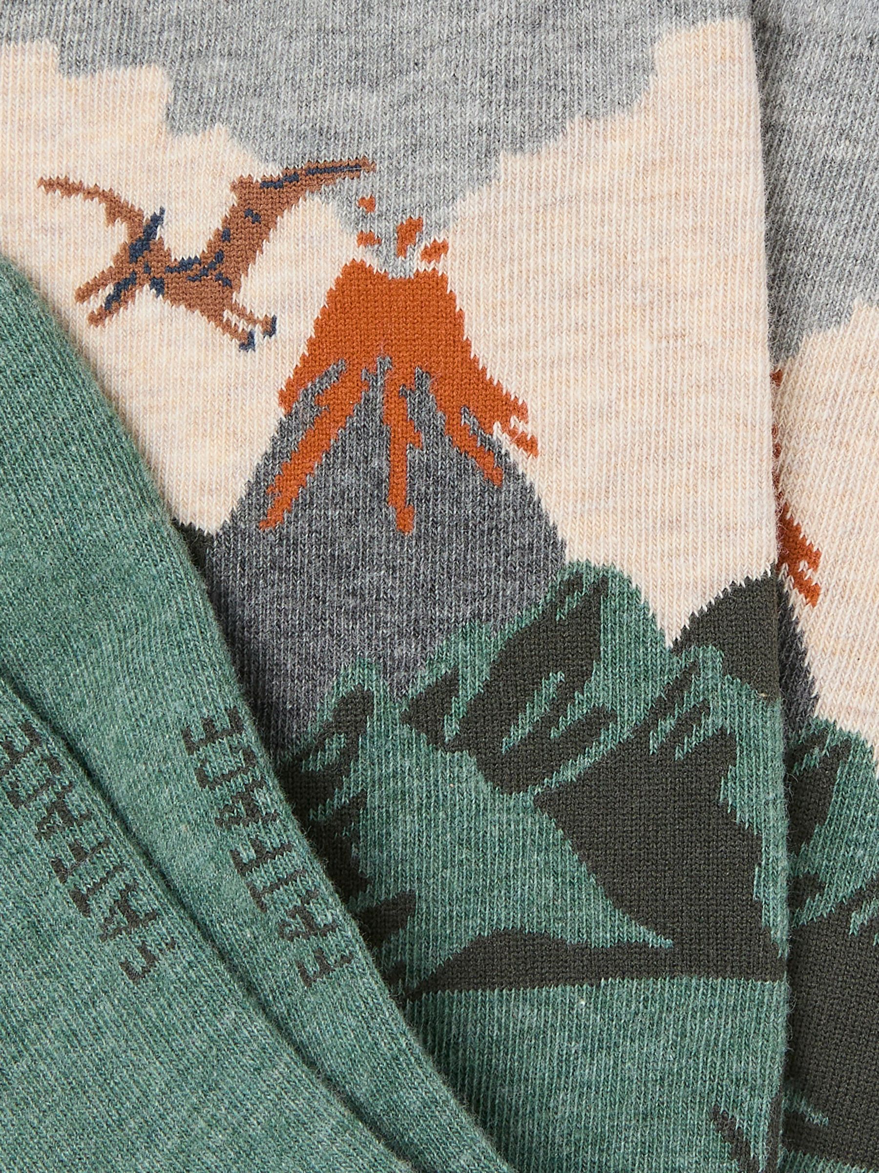 Buy FatFace Multi Colour Dinosaur Scene Socks from Next Thailand