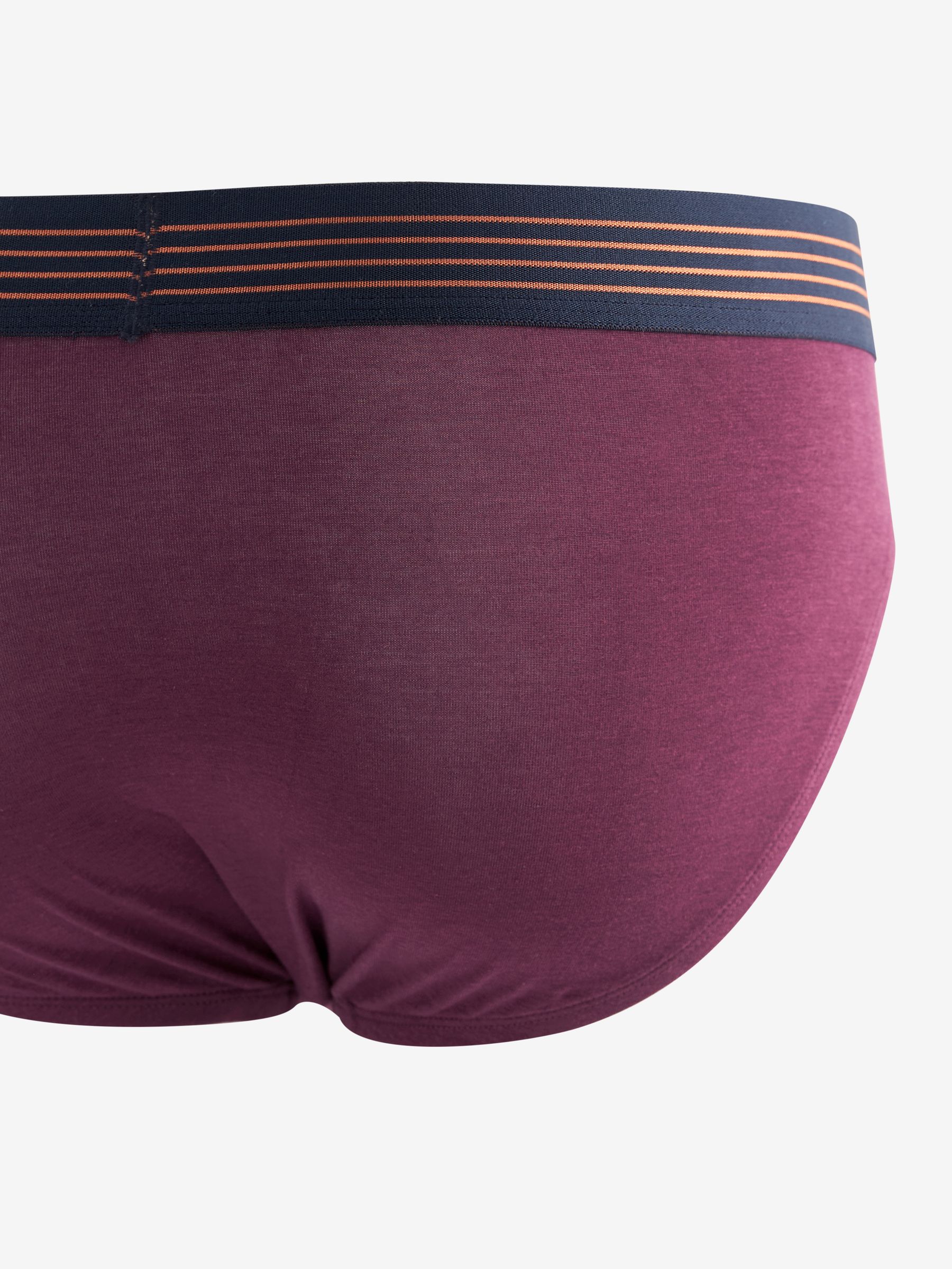Buy Rich Bronze Signature Briefs 4 Pack from the Next UK online shop