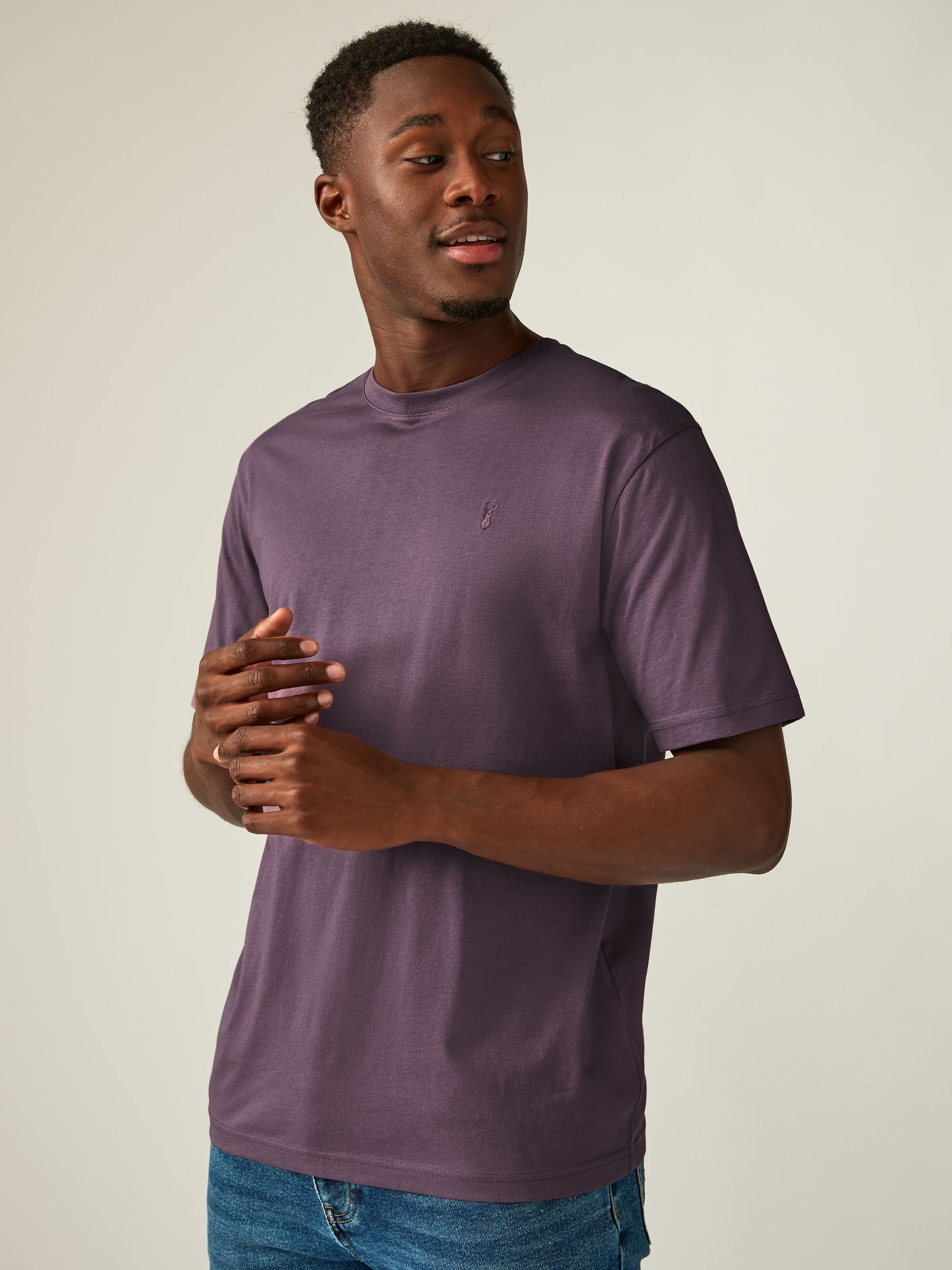 Buy Ecru/Blue/Grape/Grey Regular Fit T-Shirts 4 Pack from the Next UK ...