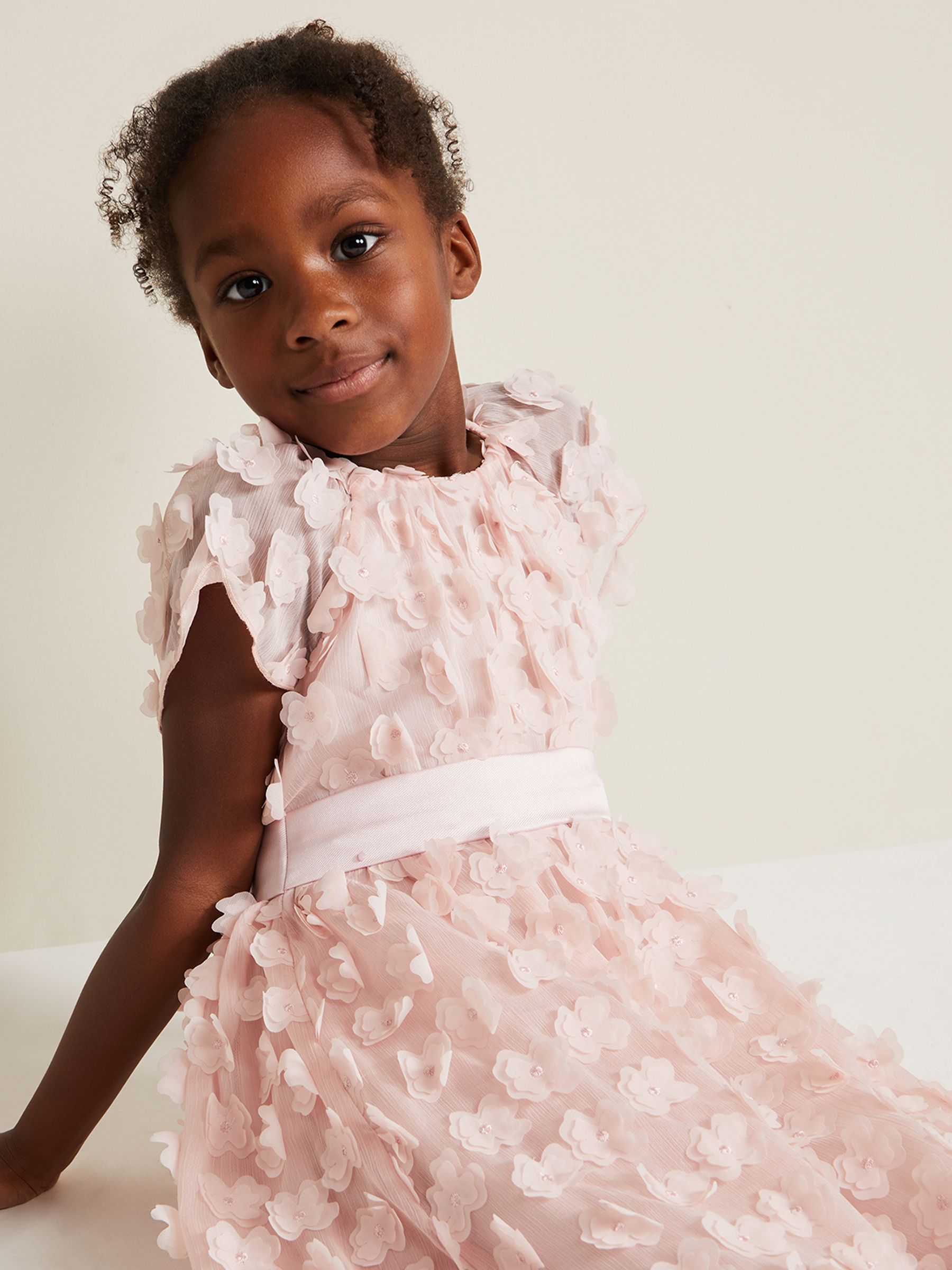 Buy Phase Eight Pink Alice Flower Fit and Flare Dress from Next Ireland