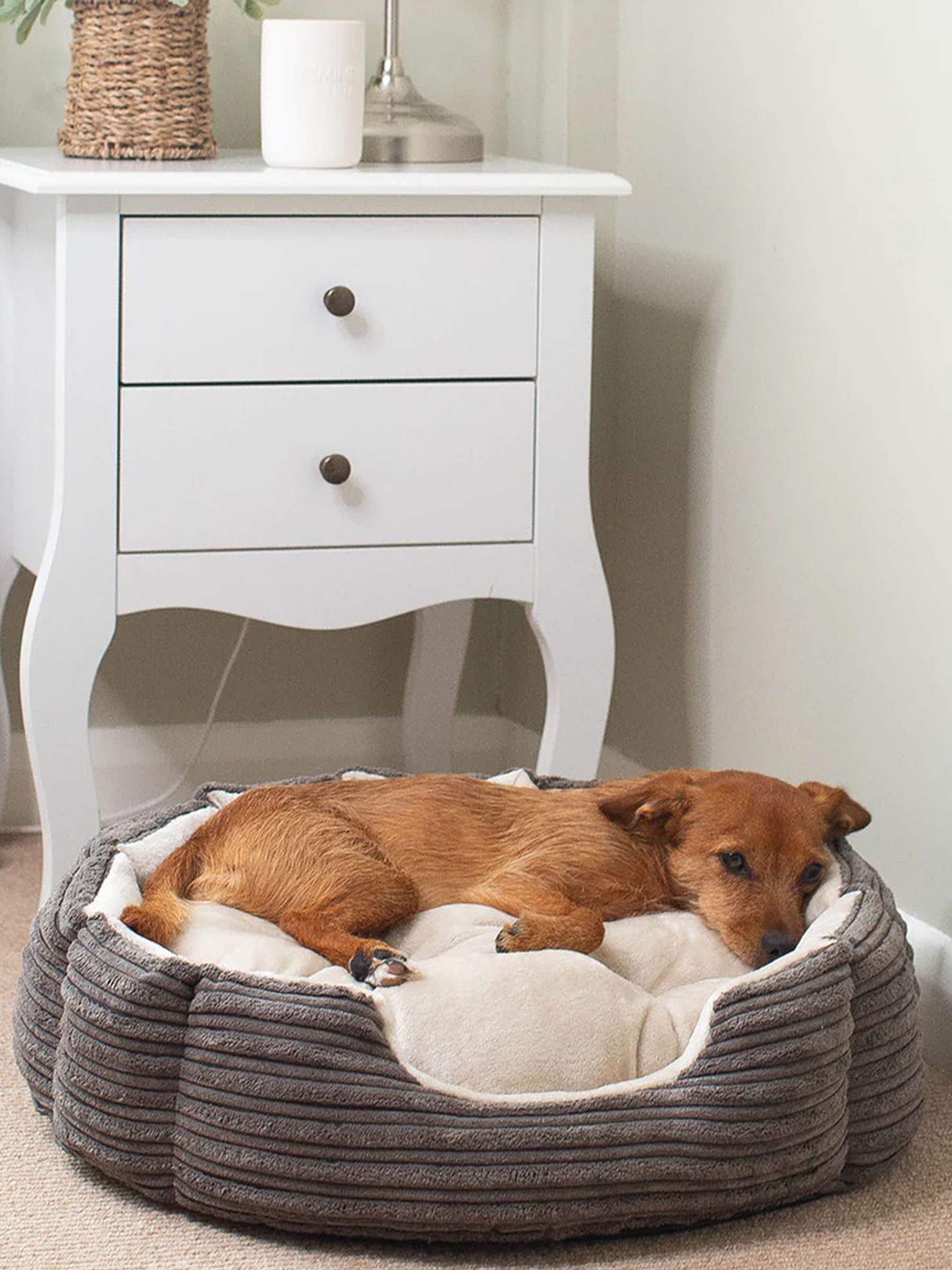 Buy Lords and Labradors Dark Grey Essentials Round Dog Bed from the ...