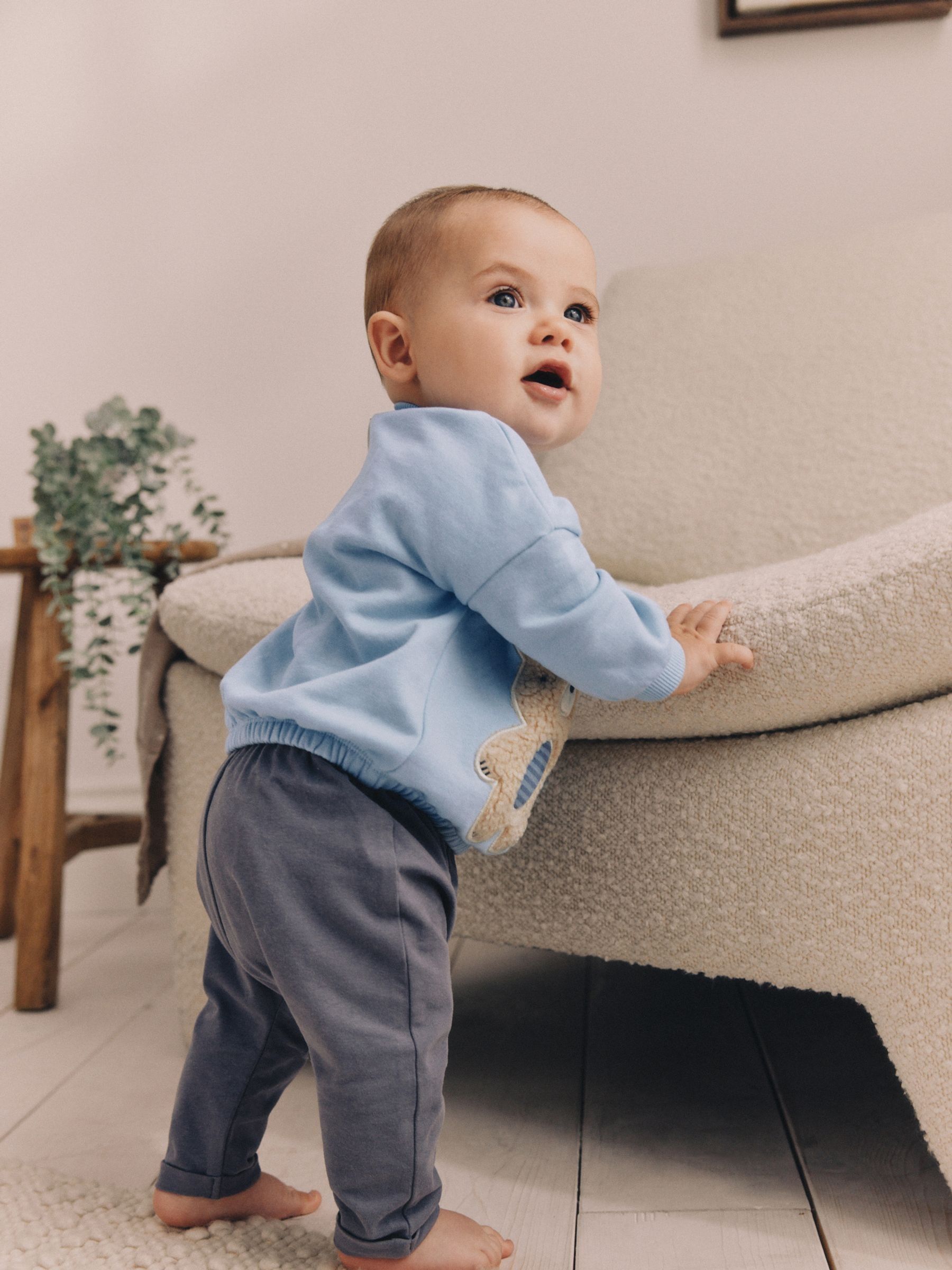 Buy Blue Bear Baby Sweatshirt And Leggings Set 2 Piece from Next Australia