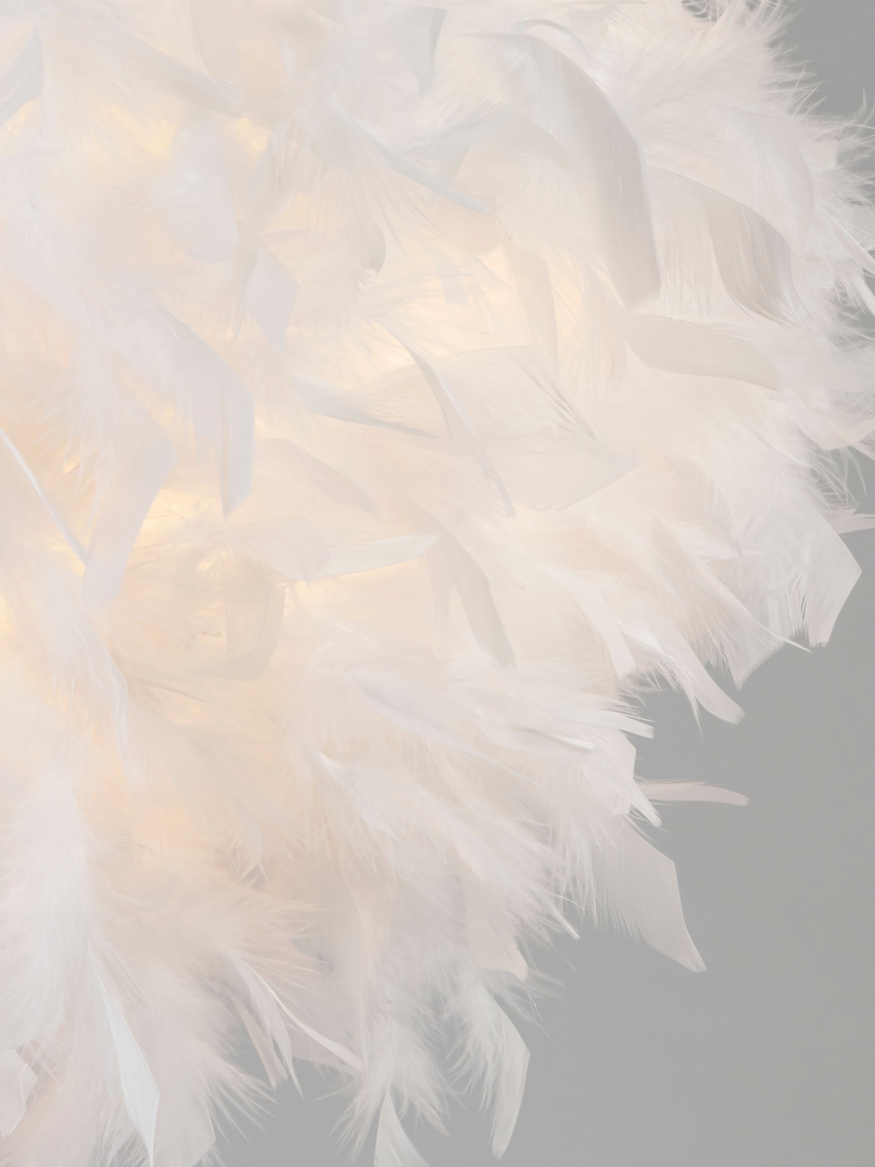 Buy glow White Feather 50cm Shade from the Next UK online shop
