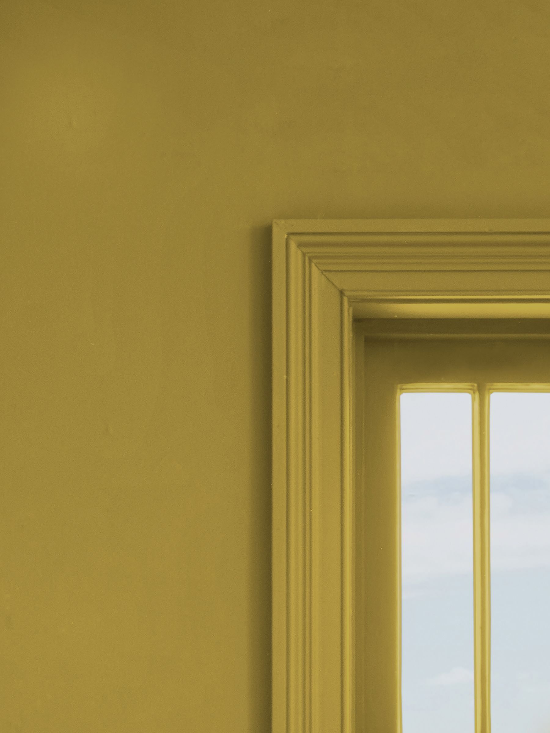 Buy Ochre Yellow Ultimate®? Multi-Surface 2.5L Paint from the Next UK ...