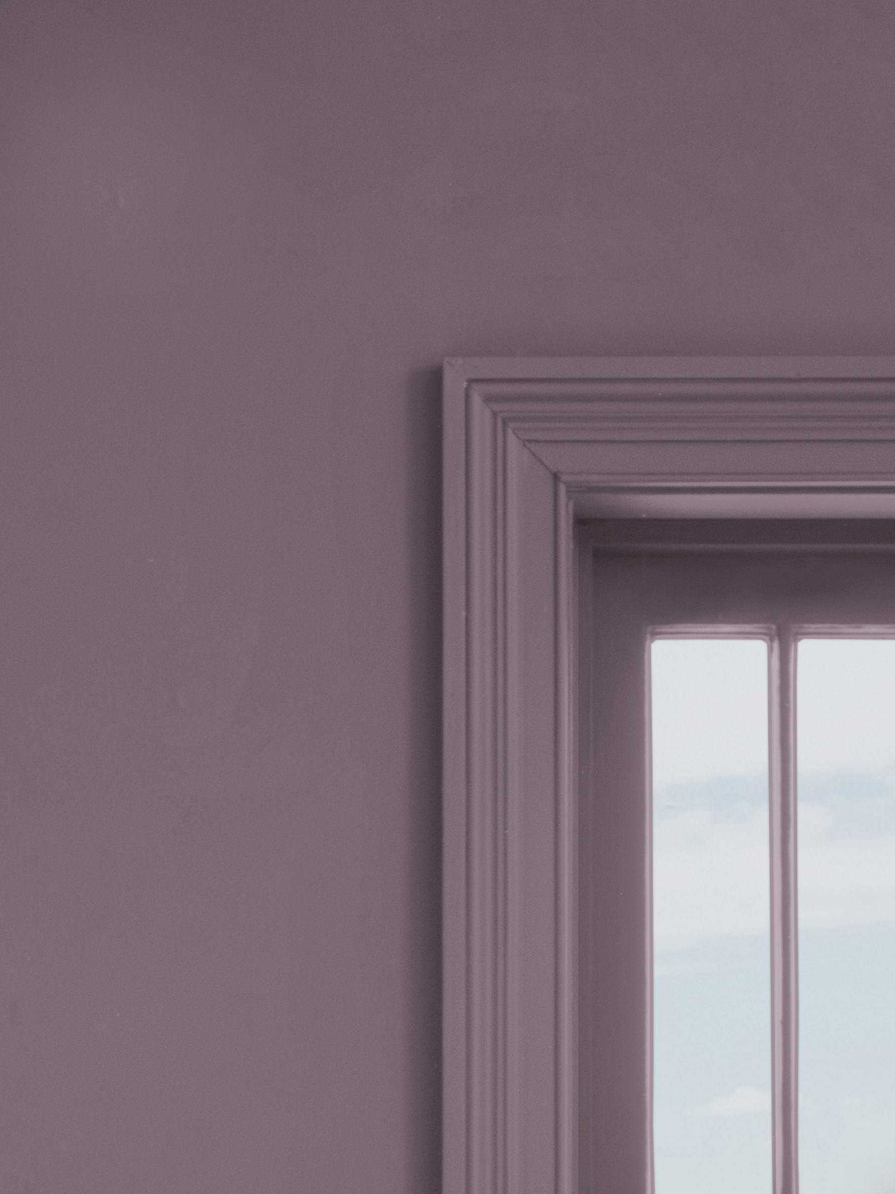 Buy Light Plum Ultimate Multi-Surface 2.5L Paint from the Next UK ...