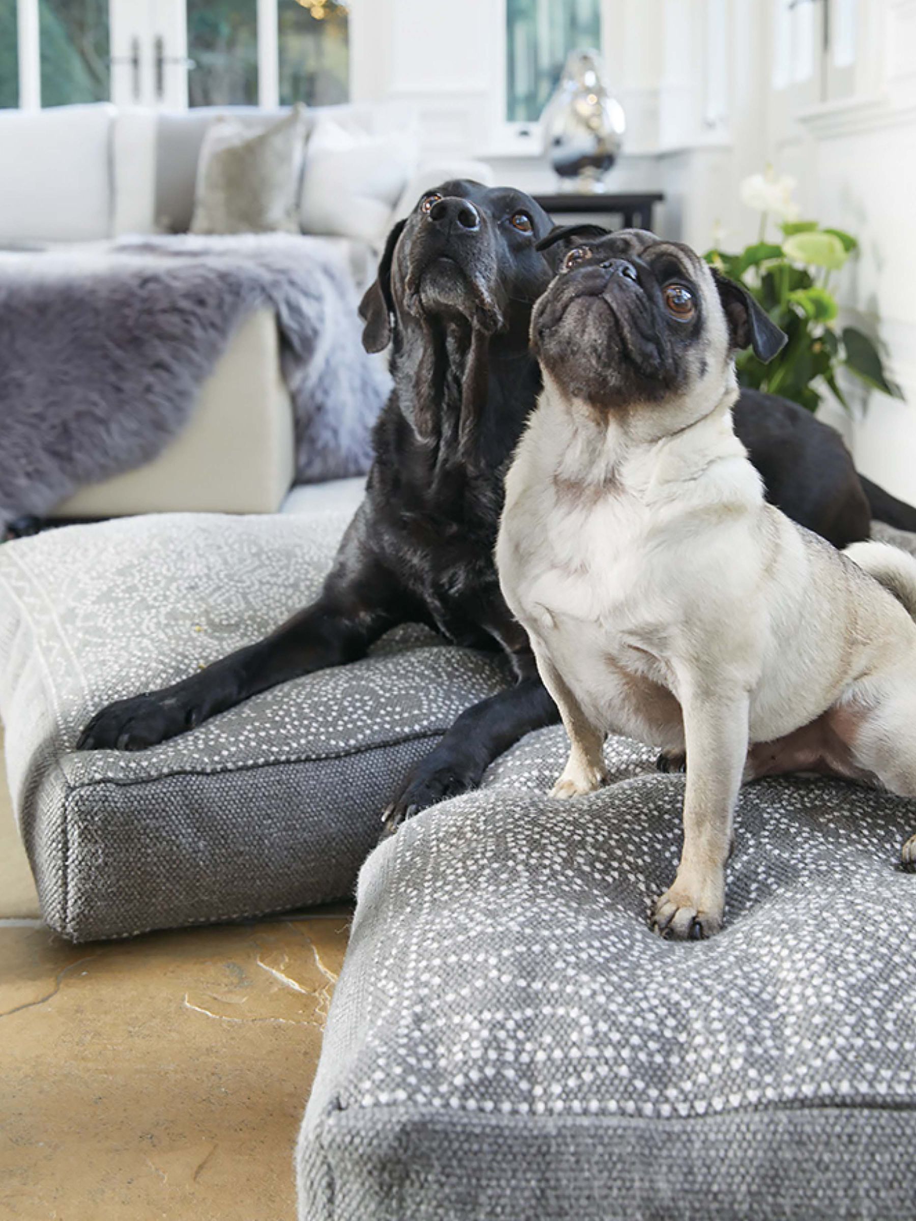 Buy Hug Rug Grey Pet Bed from the Next UK online shop