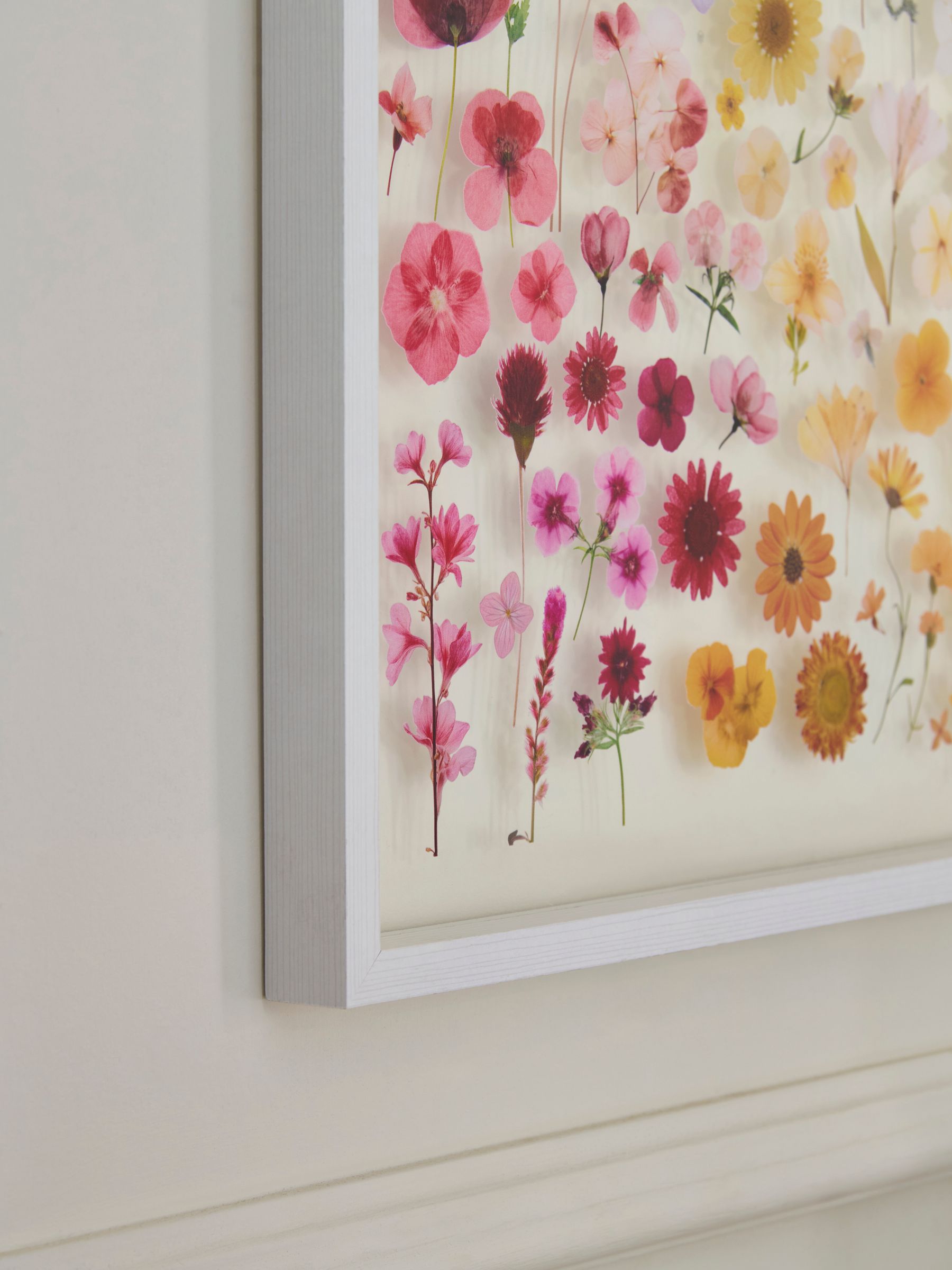 Buy Multi Floating Pressed Flower Look Framed Wall Art from the Next UK ...