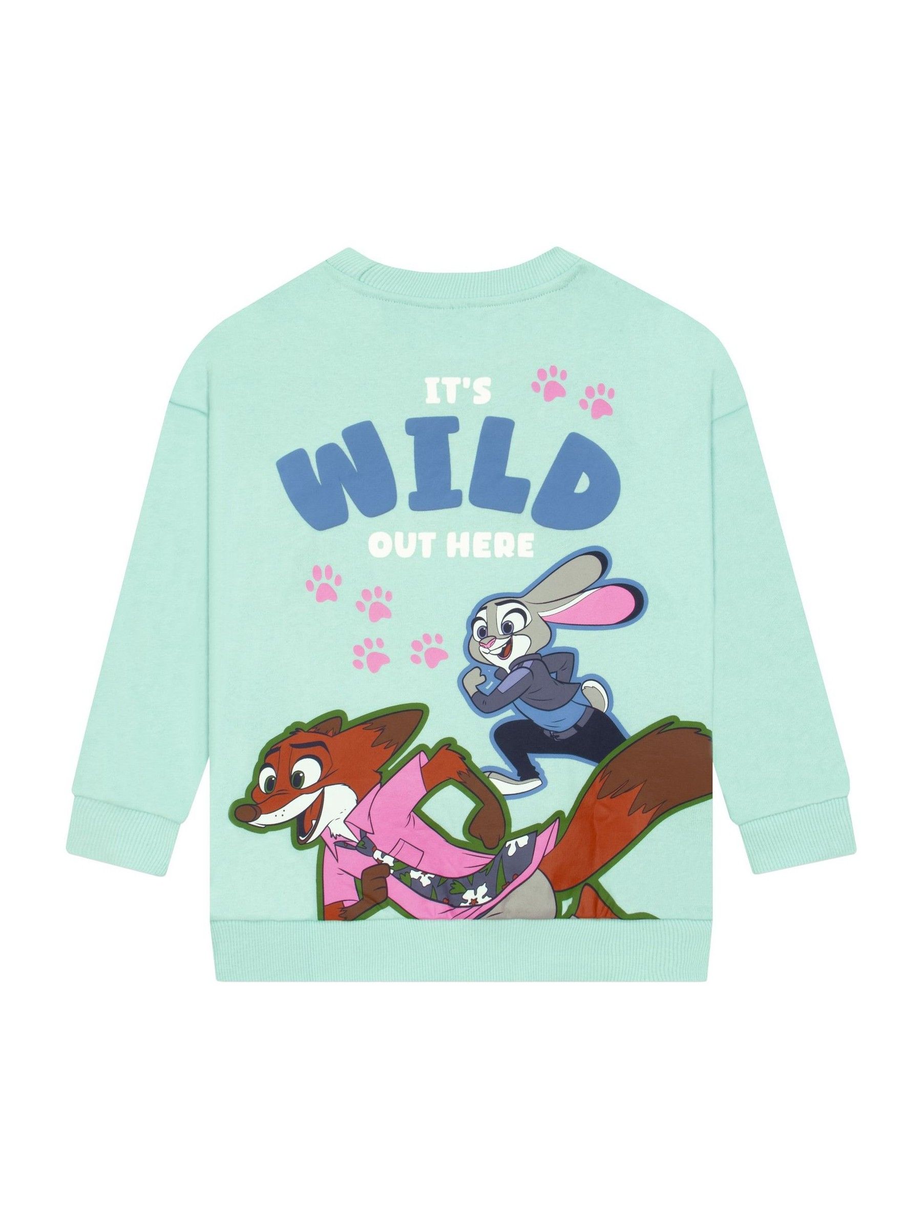 Buy Character Green Zootropolis Judy & Nick Sweatshirt from the Next UK ...