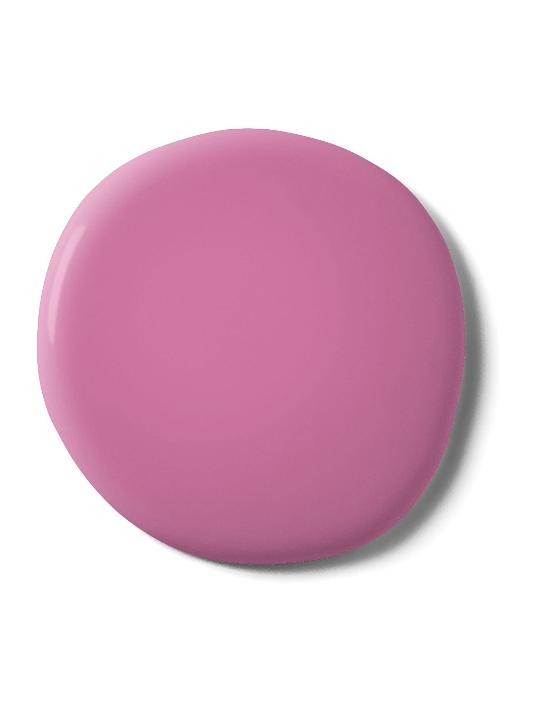 Buy Graham & Brown Pink Robin Interior Eggshell Paint from the Next UK ...