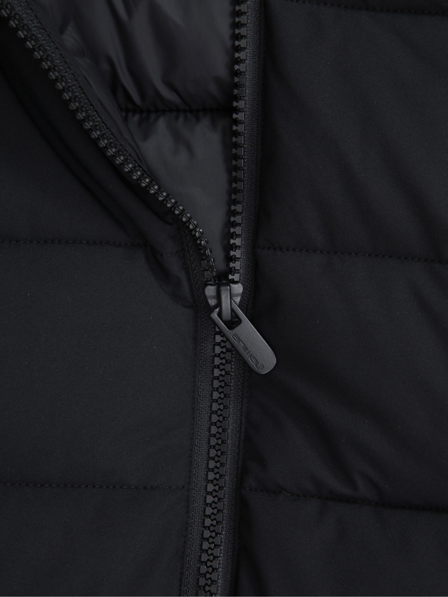 Buy Animal Black Light Cloud Cosi Padded Jacket from Next Cyprus