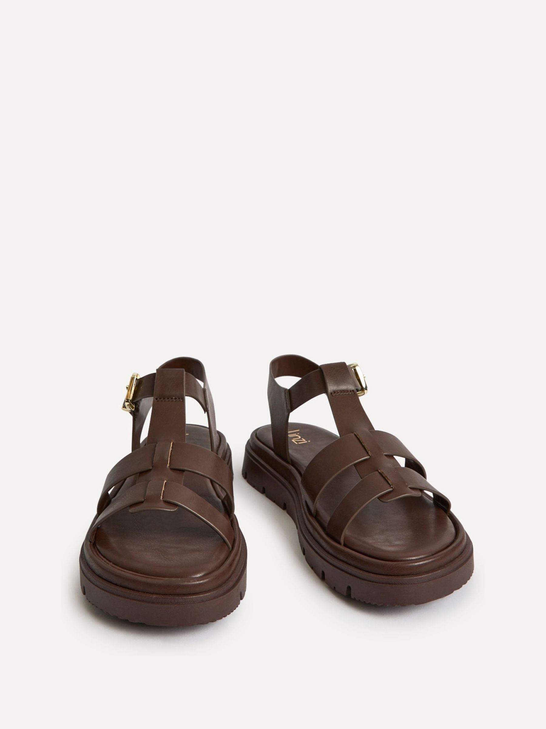 Buy Linzi Brown Adventure Gladiator Style Flat Sandals from Next Czech ...