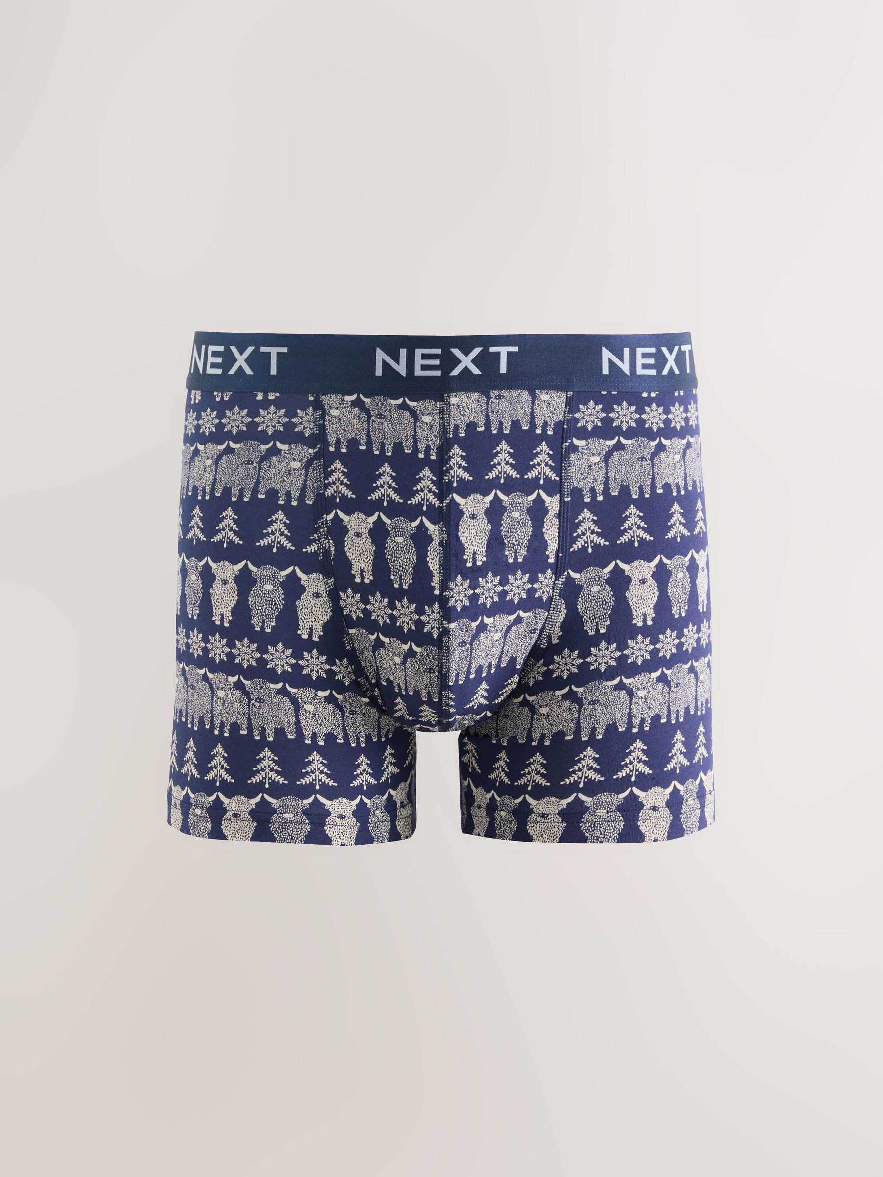 Buy Fairisle Hamish Christmas Novelty Boxers from Next New Zealand