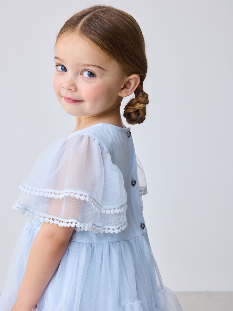 Buy Baker by Ted Baker Blue Mesh Embroidered Detail Dress from Next Germany