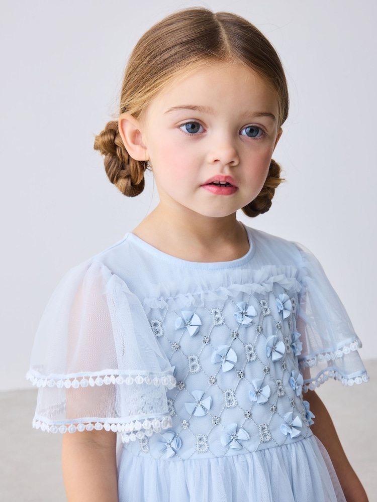 Buy Baker by Ted Baker Blue Mesh Embroidered Detail Dress from Next Germany