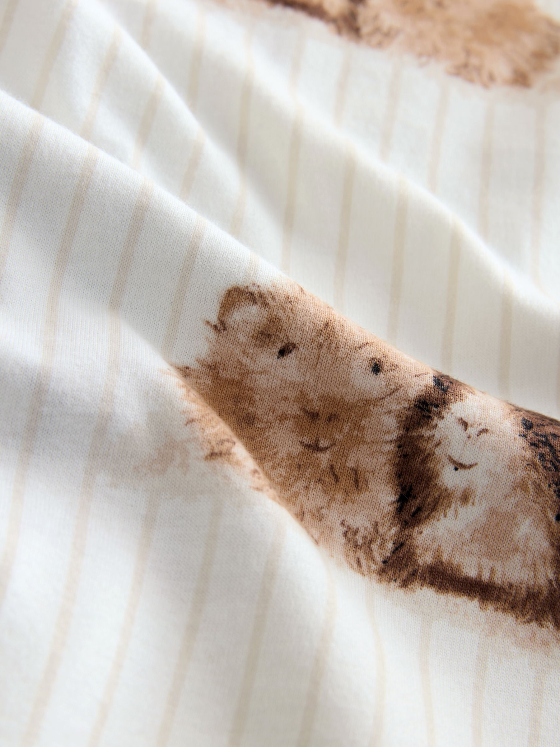 Buy Cream Guinea Pig Jersey Short Sleeve Pyjamas from the Next UK ...