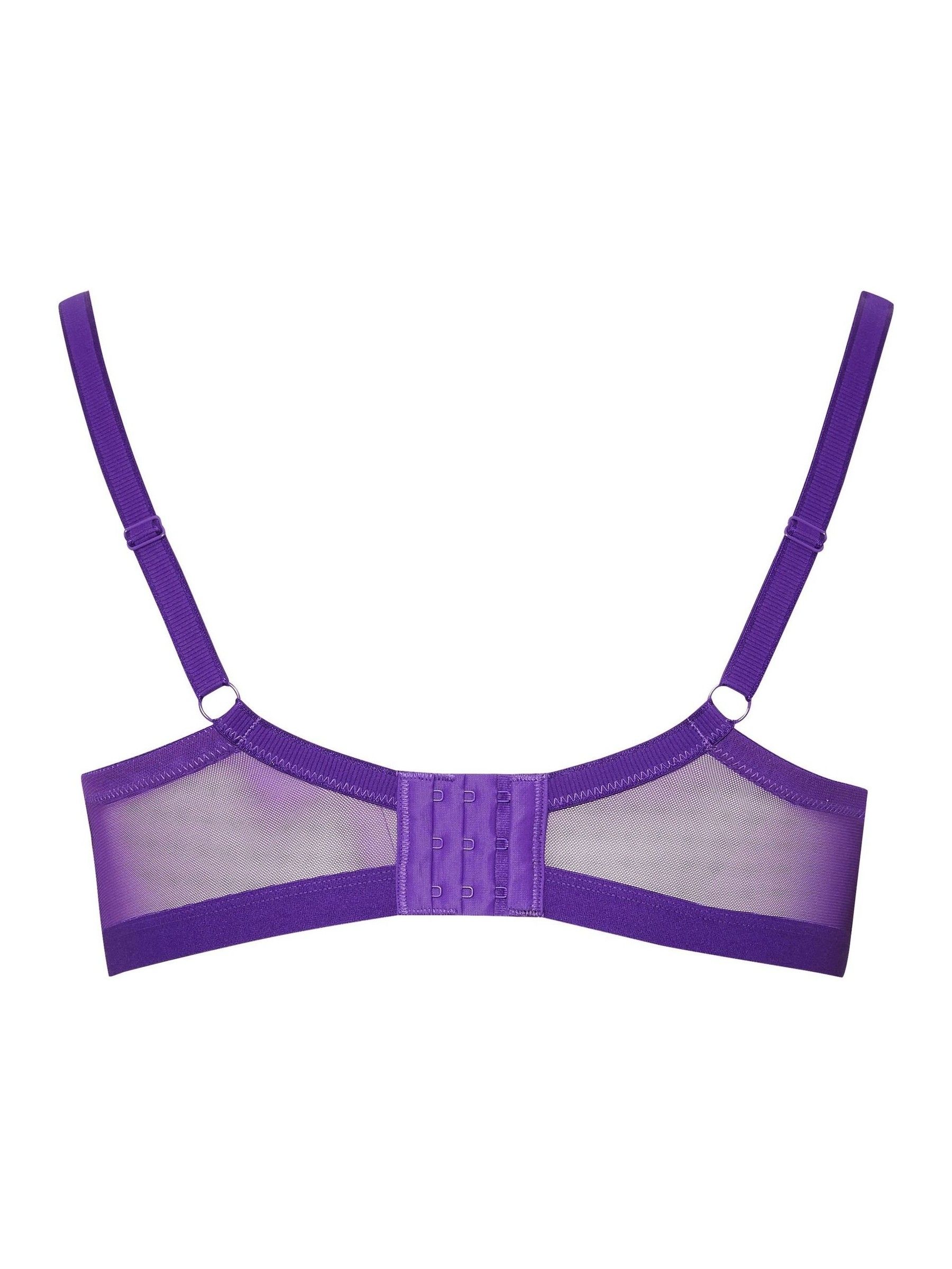 Buy Yours Curve Purple Lace Mesh Padded T-Shirt Bra from the Next UK ...