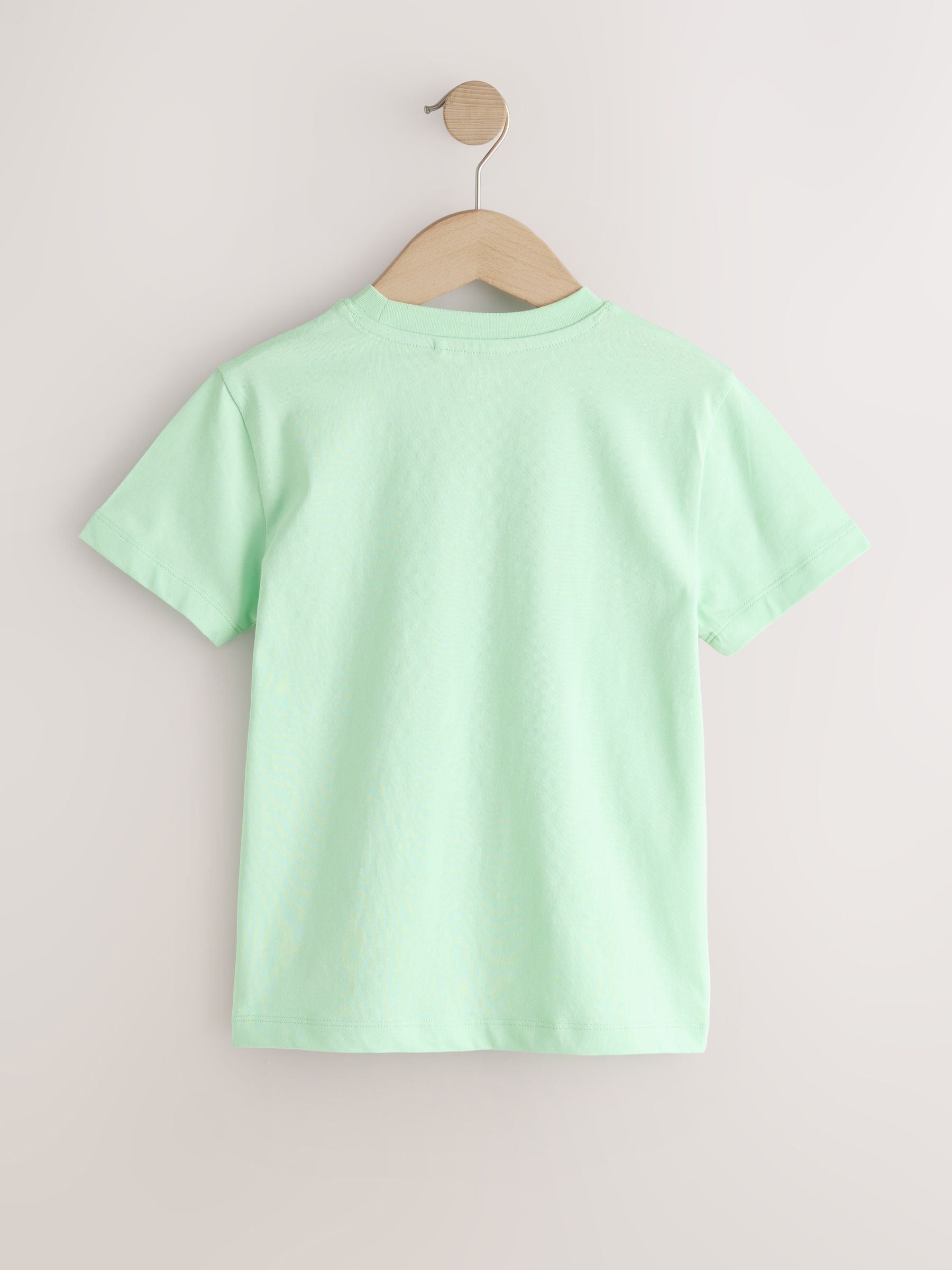 Buy Green Pastel Regular Fit Short Sleeve T-Shirt (3-16yrs) from the ...