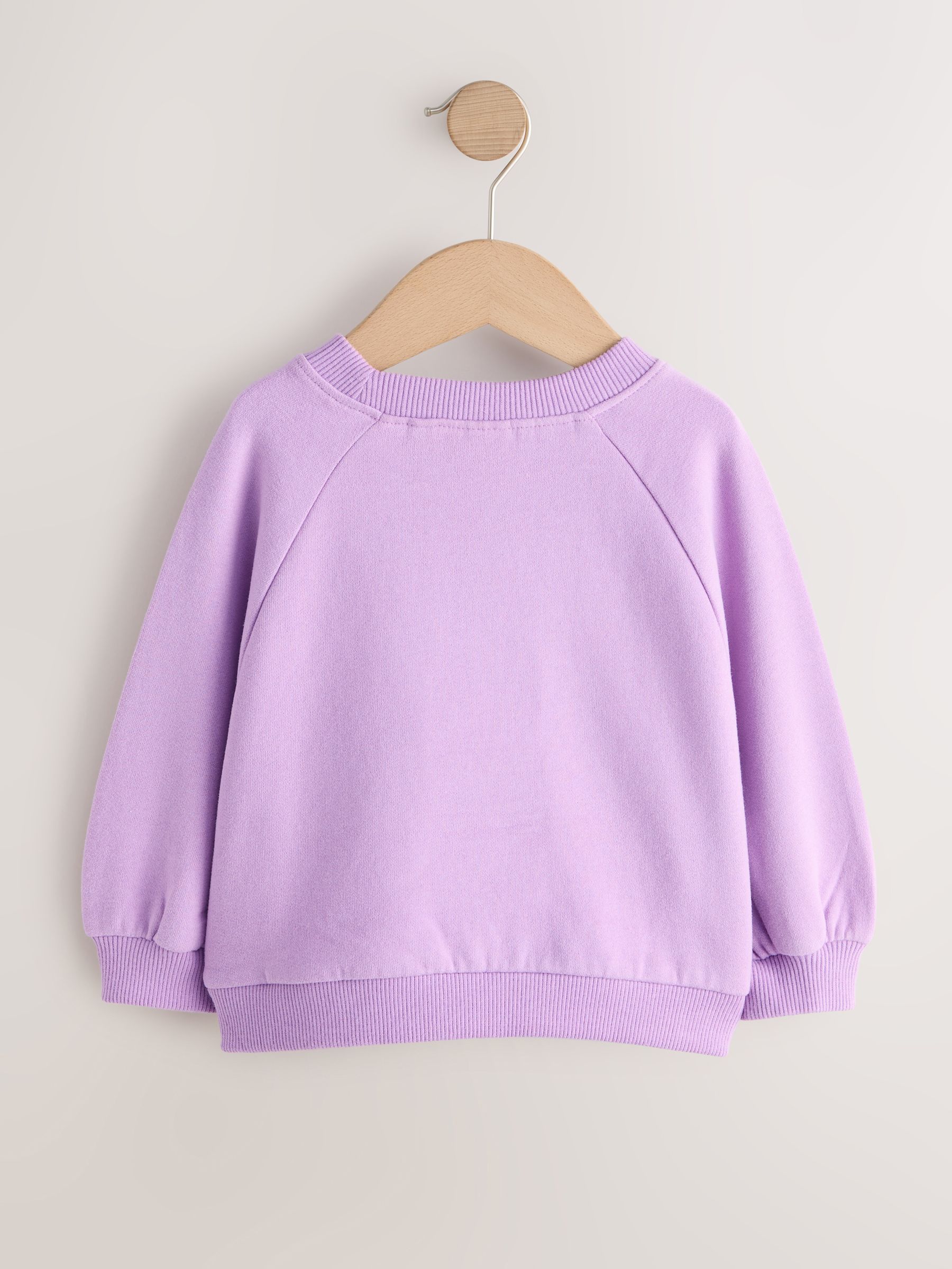 Buy Lilac Purple Crew Neck Sweatshirt (3mths-7yrs) from Next Ireland