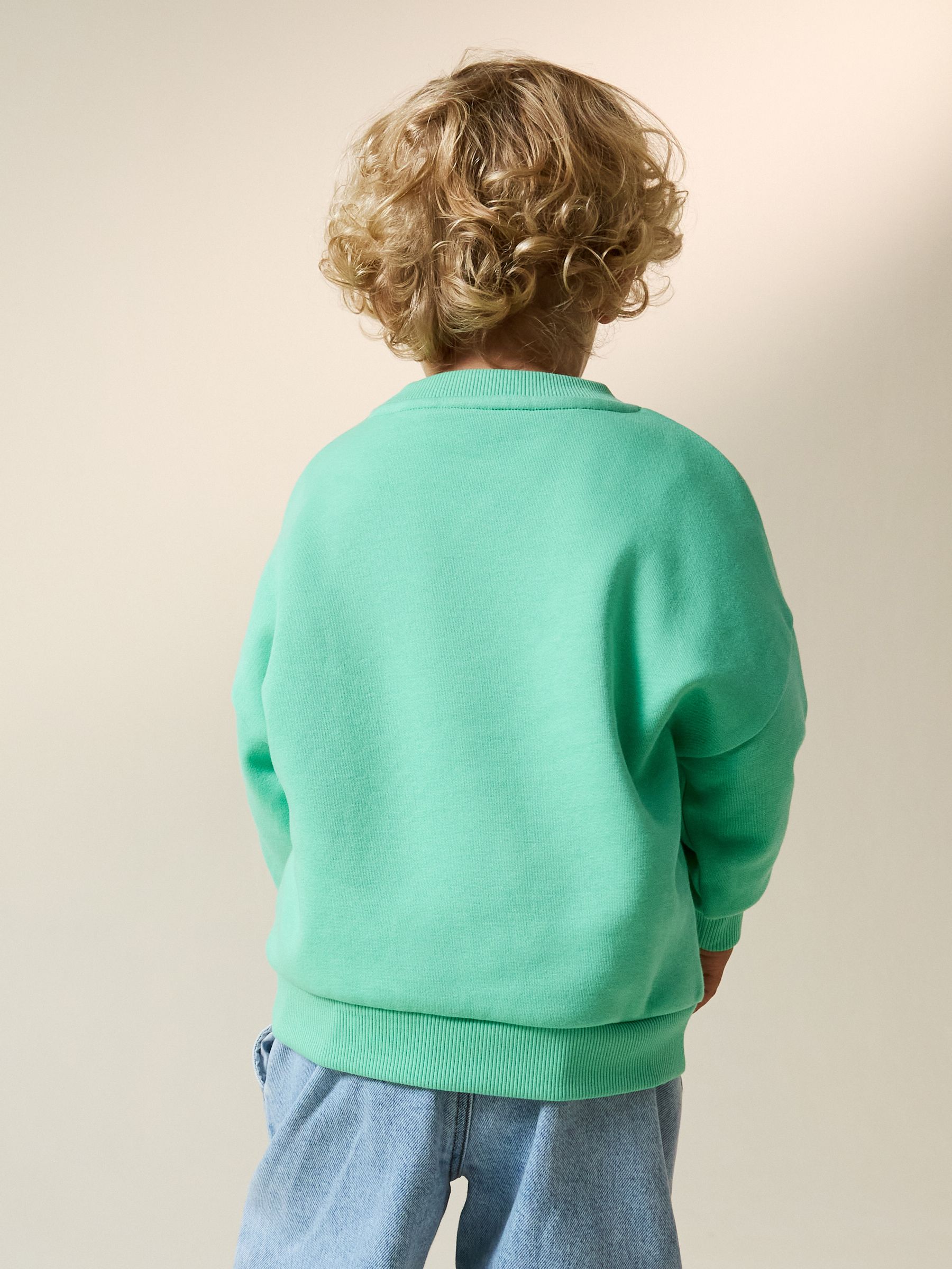 Buy Green Palm Tree - Crew Neck Sweatshirt (3mths-7yrs) from Next France