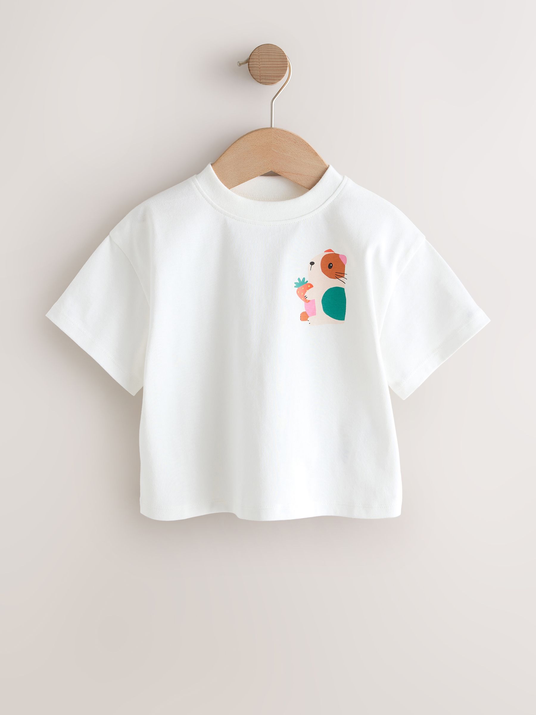 Buy Blue/Green T-Shirts 4 Pack (3mths-7yrs) from Next New Zealand