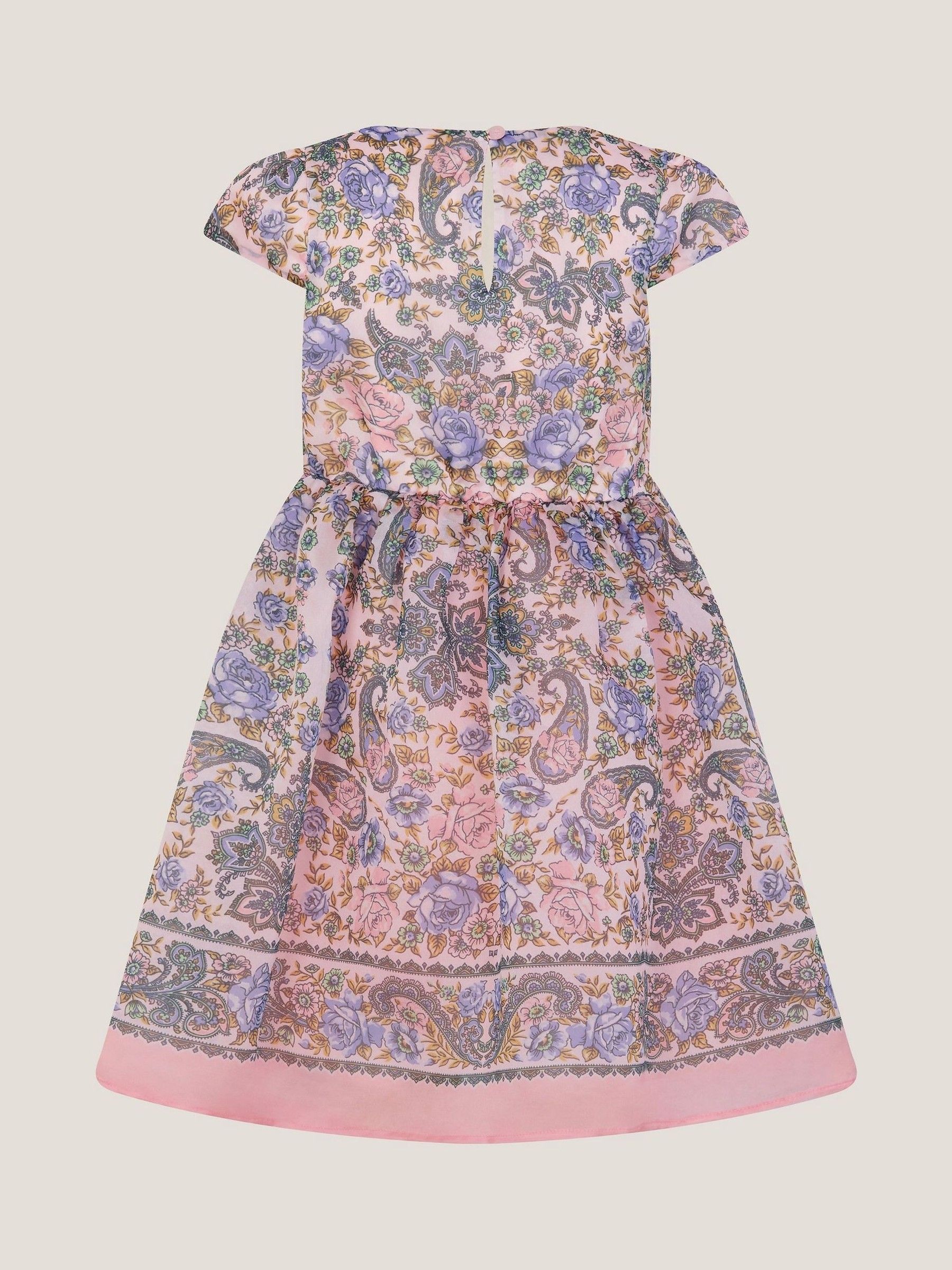 Buy Monsoon Pink Poppy Floral Paisley Print Dress from Next Australia