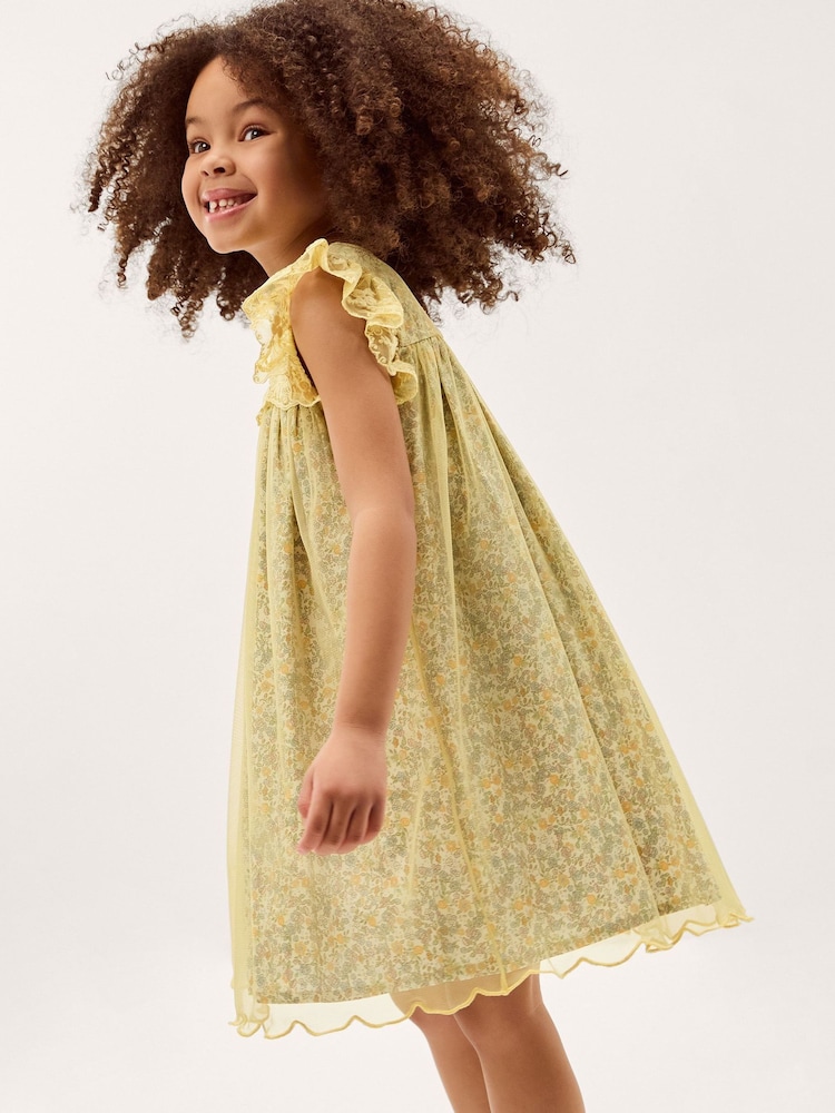 Buy Monsoon Yellow Darcie Ditsy Floral Mesh Dress from the Next UK ...