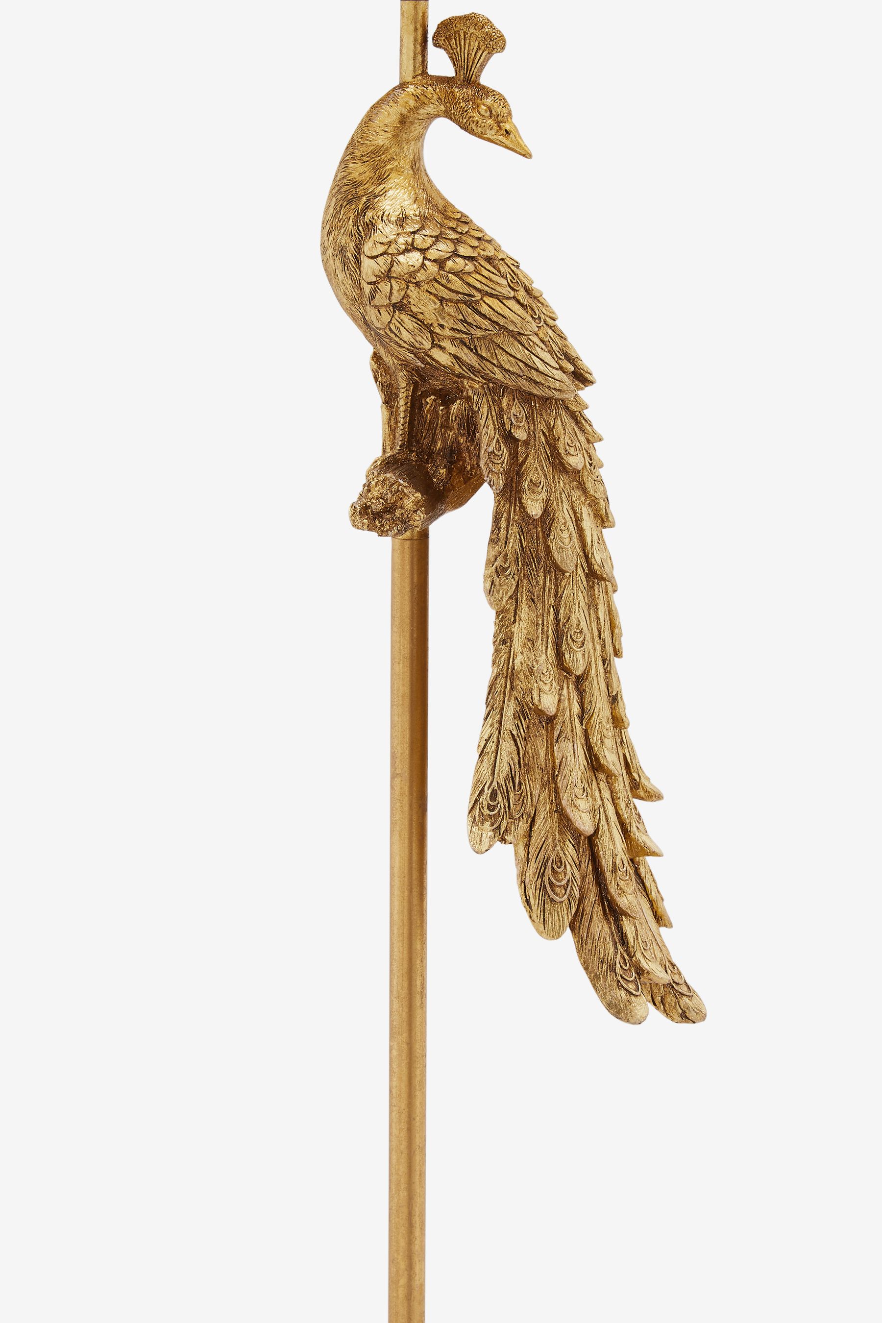 Buy Black/Gold Peacock Floor Lamp from the Next UK online shop