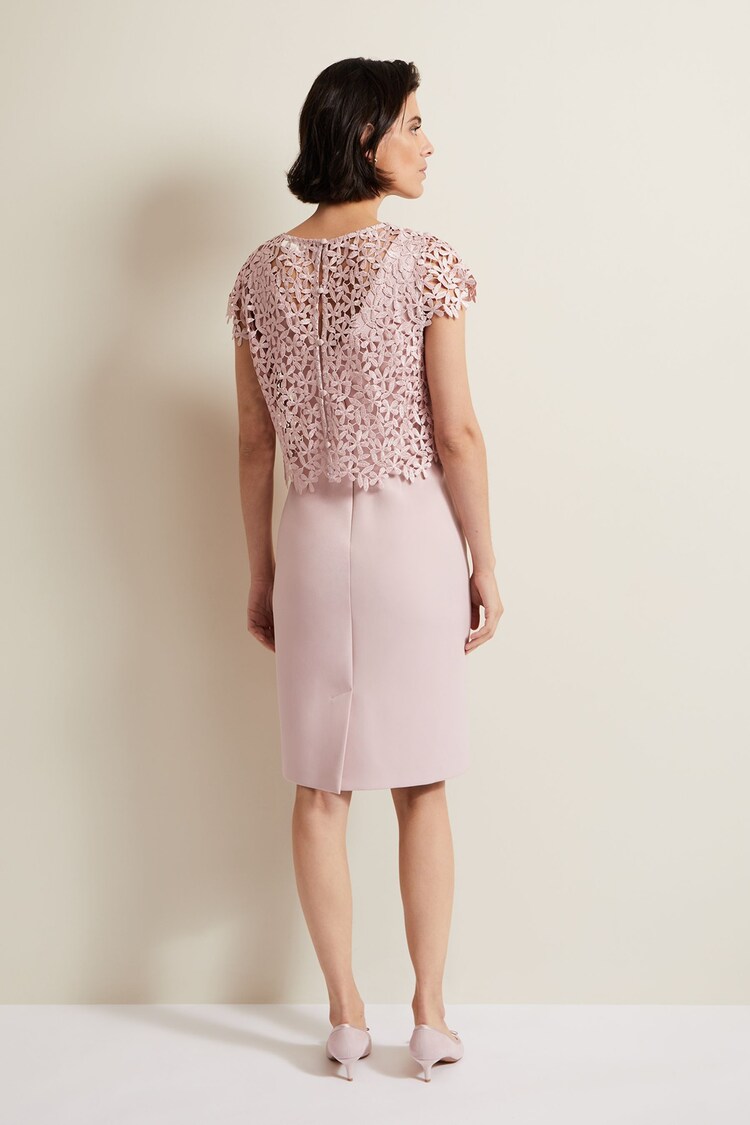 Buy Phase Eight Pink Daisy Lace Midi Dress from the Next UK online shop