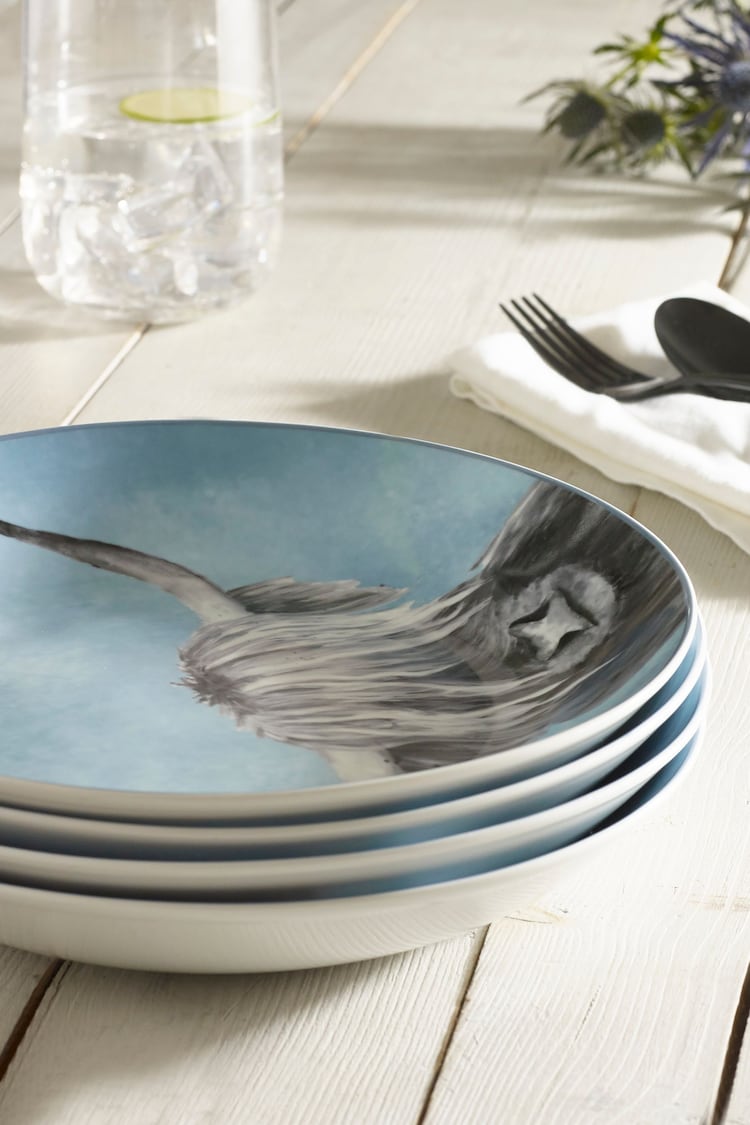 Buy Set of 4 Teal Blue Hamish the Highland Cow Pasta Bowls from Next ...