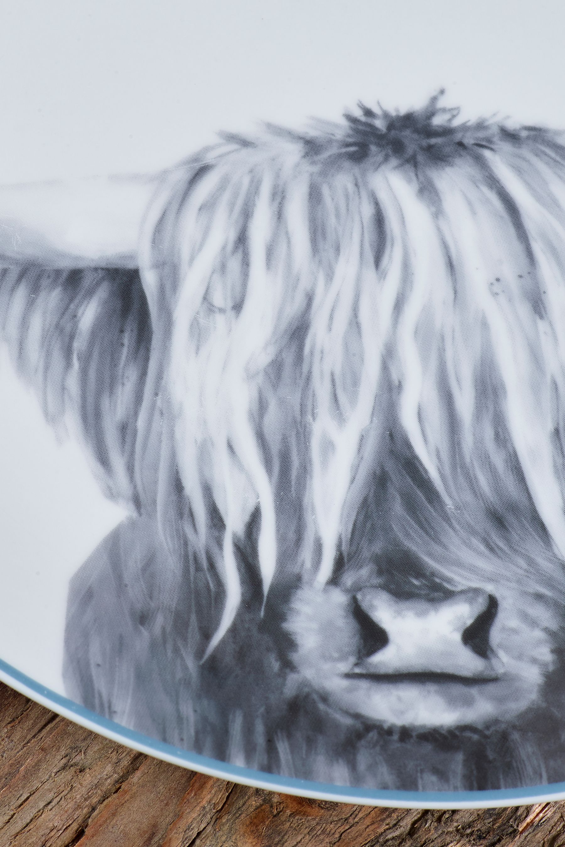 Buy Set of 4 Grey Hamish Dinner Plates from the Next UK online shop