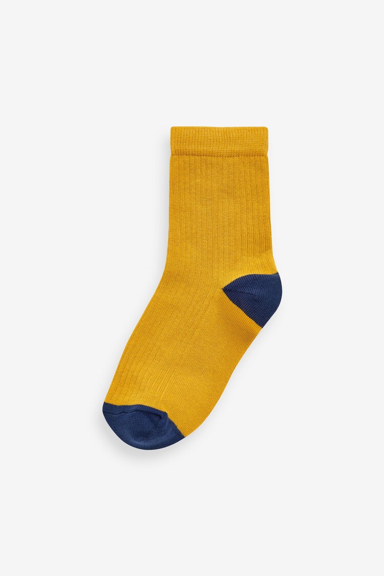 Buy Multicolour Block Cotton Rich Fine Rib Socks 7 Pack from the Next ...