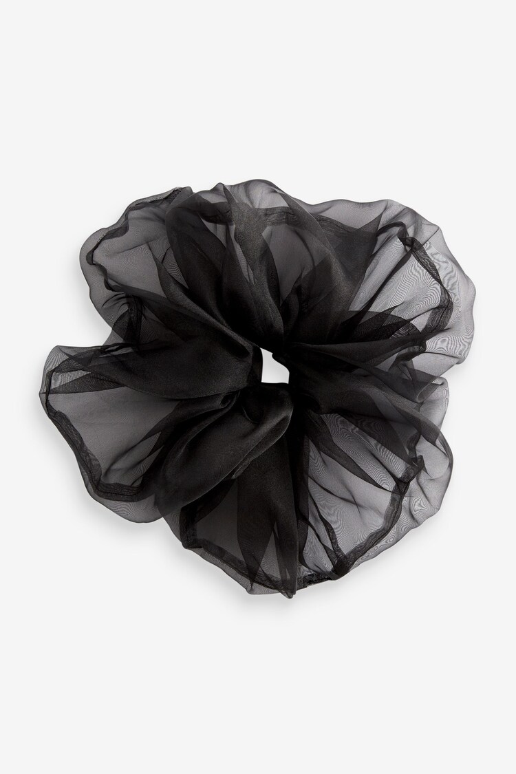 Buy Black Oversized Sheer Scrunchie 1 Pack from Next Australia
