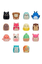 Buy Squishmallows Collectables Squishalongs 14 Pack from the Next UK ...