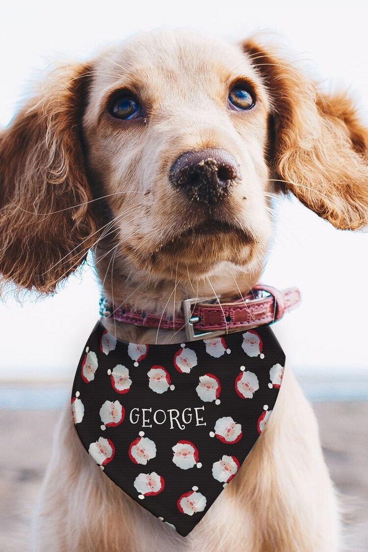 Buy Personalise Super Cute Bandana by PMC from the Next UK online shop