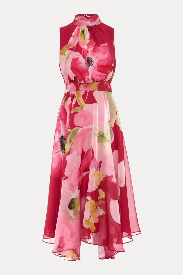Buy Phase Eight Pink Petite Lucinda Floral Dress from the Next UK ...