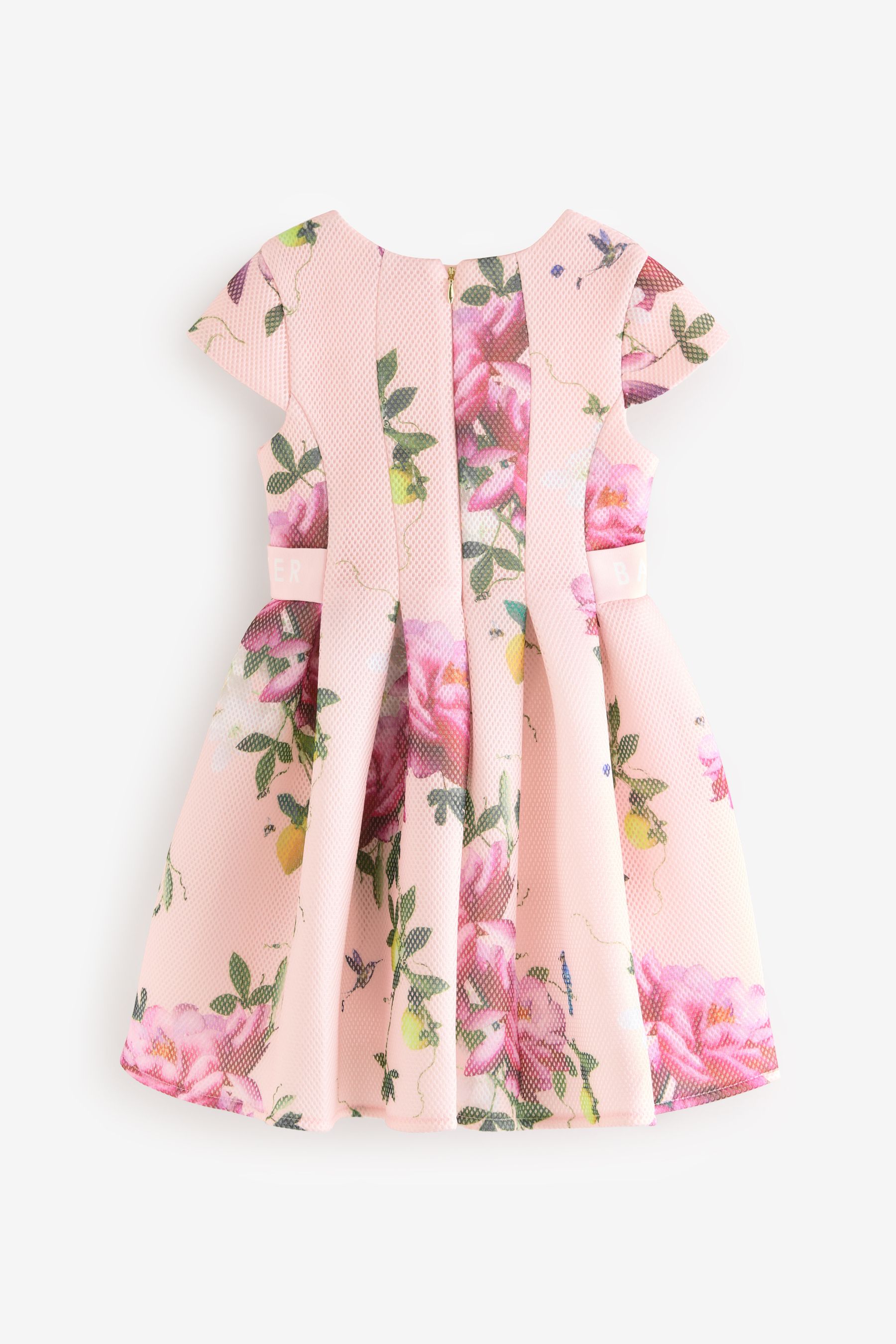 Buy Baker by Ted Baker Navy Floral Airtex Scuba Dress from the Next UK ...
