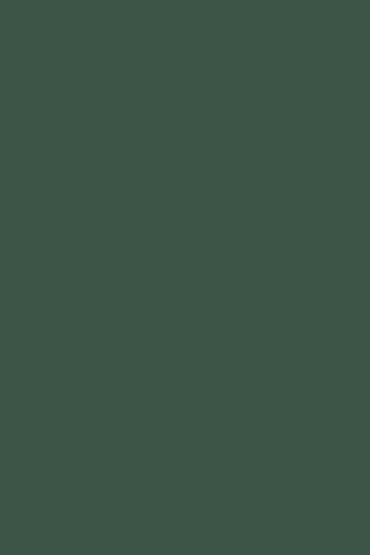 Buy Morris & Co. Tump Green Matt Emulsion Paint from the Next UK online ...