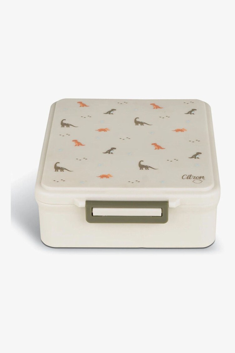Buy Citron Large Lunch Box with Insulated Food Jar from the Next UK ...