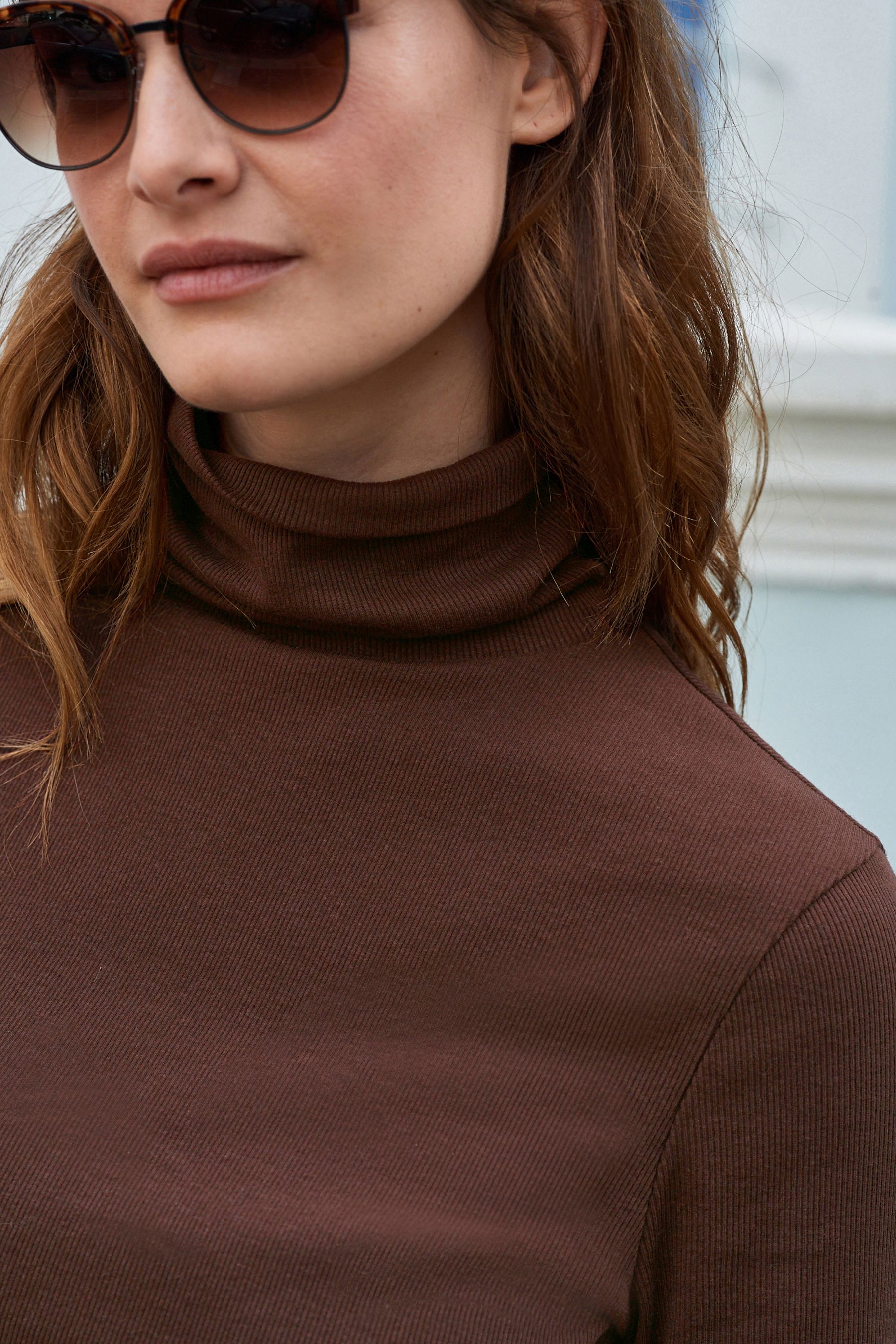 Buy Chocolate Brown Long Sleeve Ribbed Roll Neck Top from the Next UK ...
