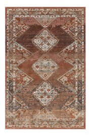 Buy Asiatic Rugs Multi Zola Tark Traditional Persian Rug from the Next ...