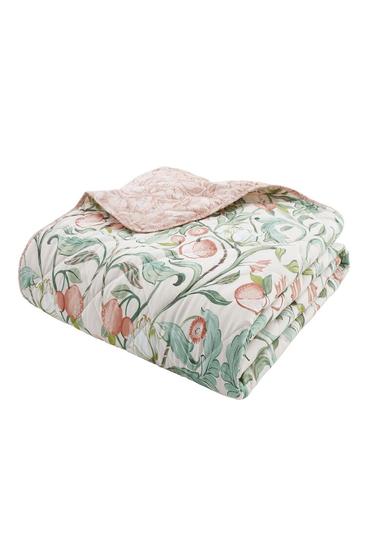 Buy Catherine Lansfield Natural Clarence Floral Quilted Throw from the ...