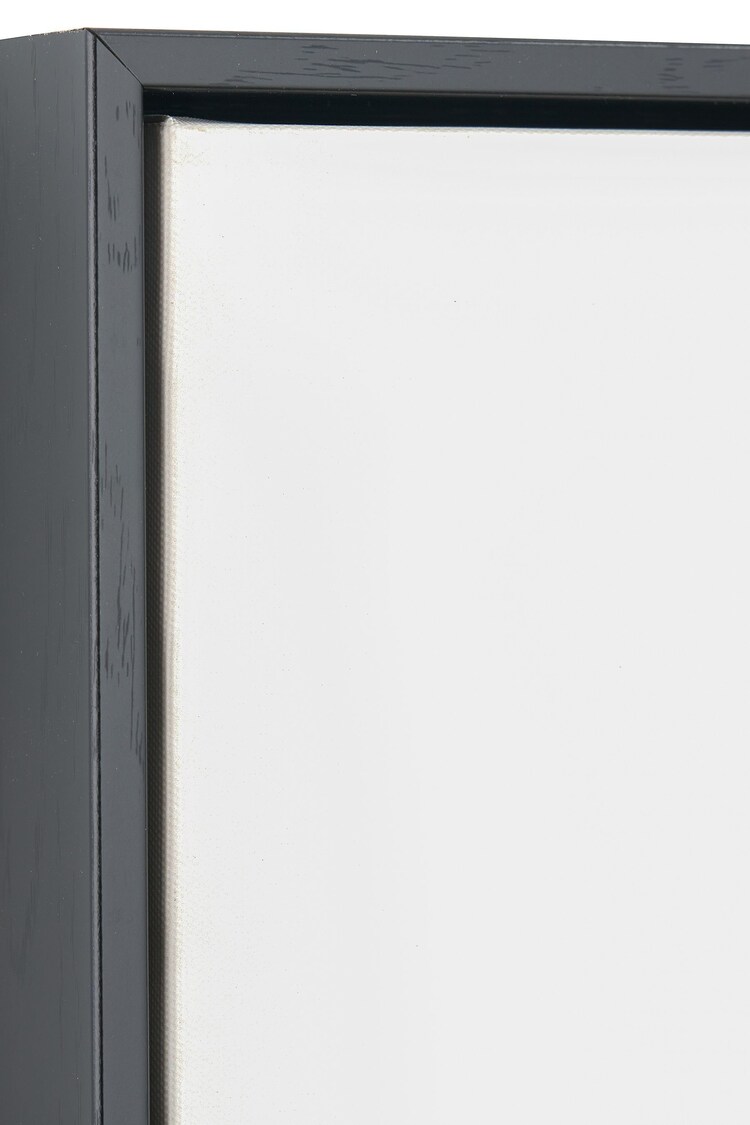 Buy Pacific Monochrome Abstract Canvas with Black Frame from the Next ...