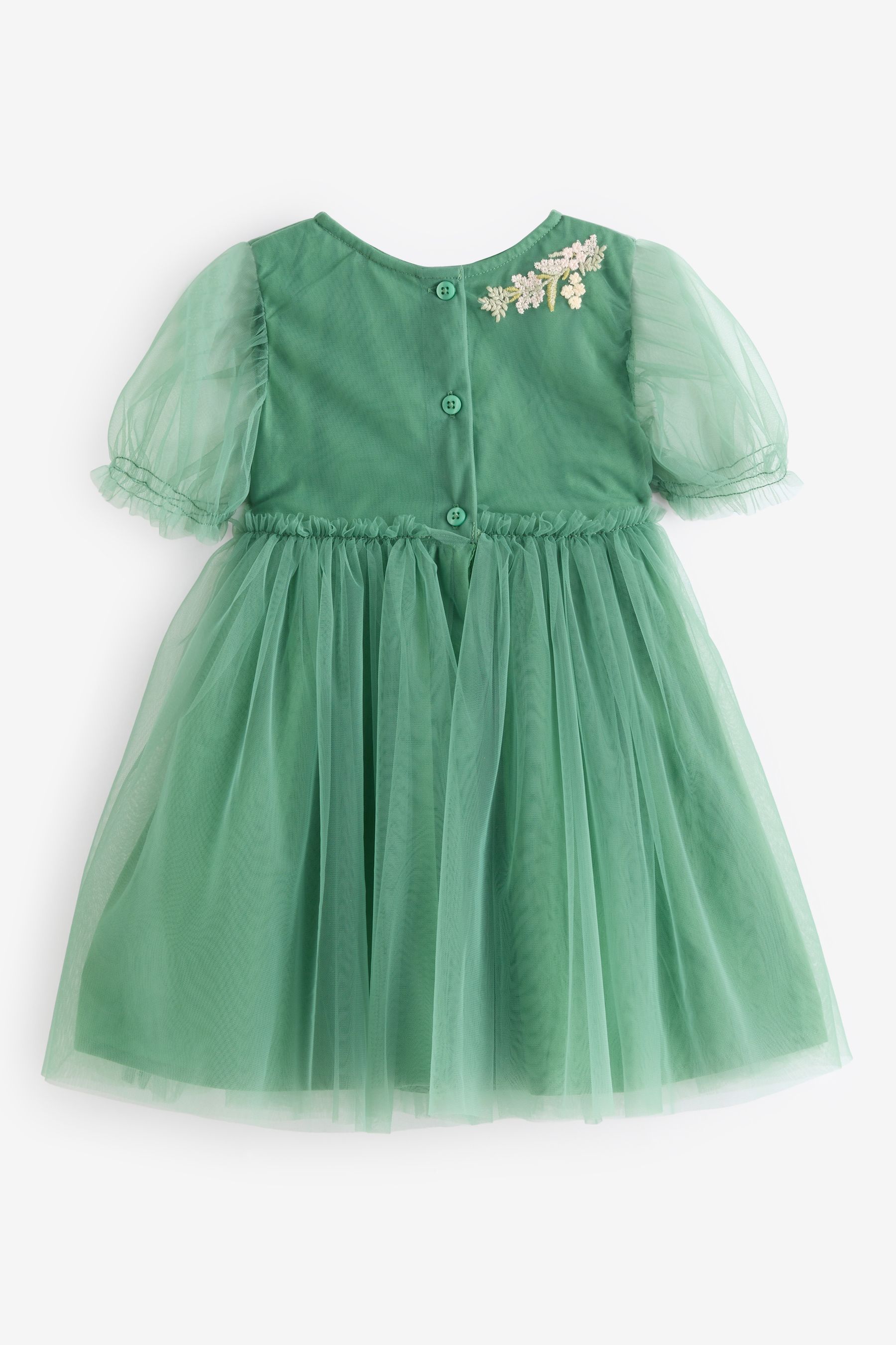 Buy Green Embroidered Mesh Party Dress (3mths-10yrs) from the Next UK ...