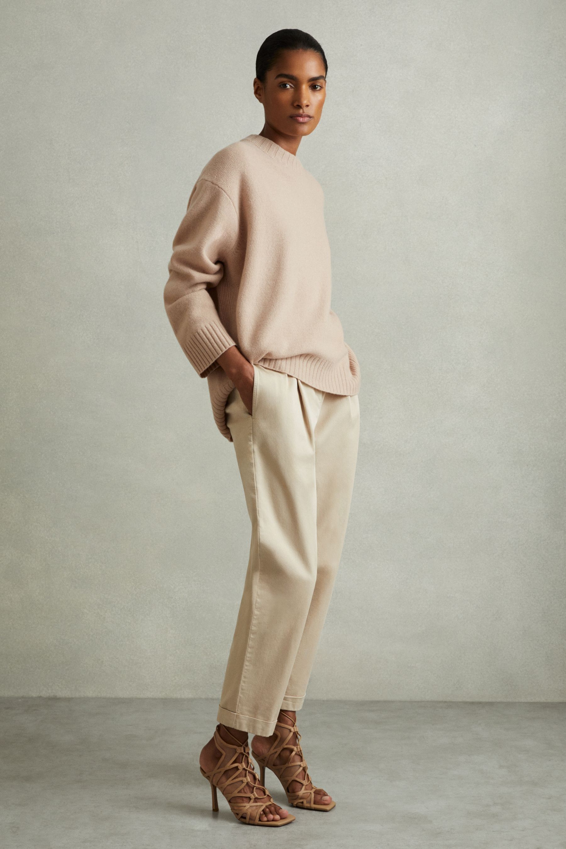 Buy Reiss Mink Elena Wool-Cashmere Crew Neck Jumper from the Next UK ...