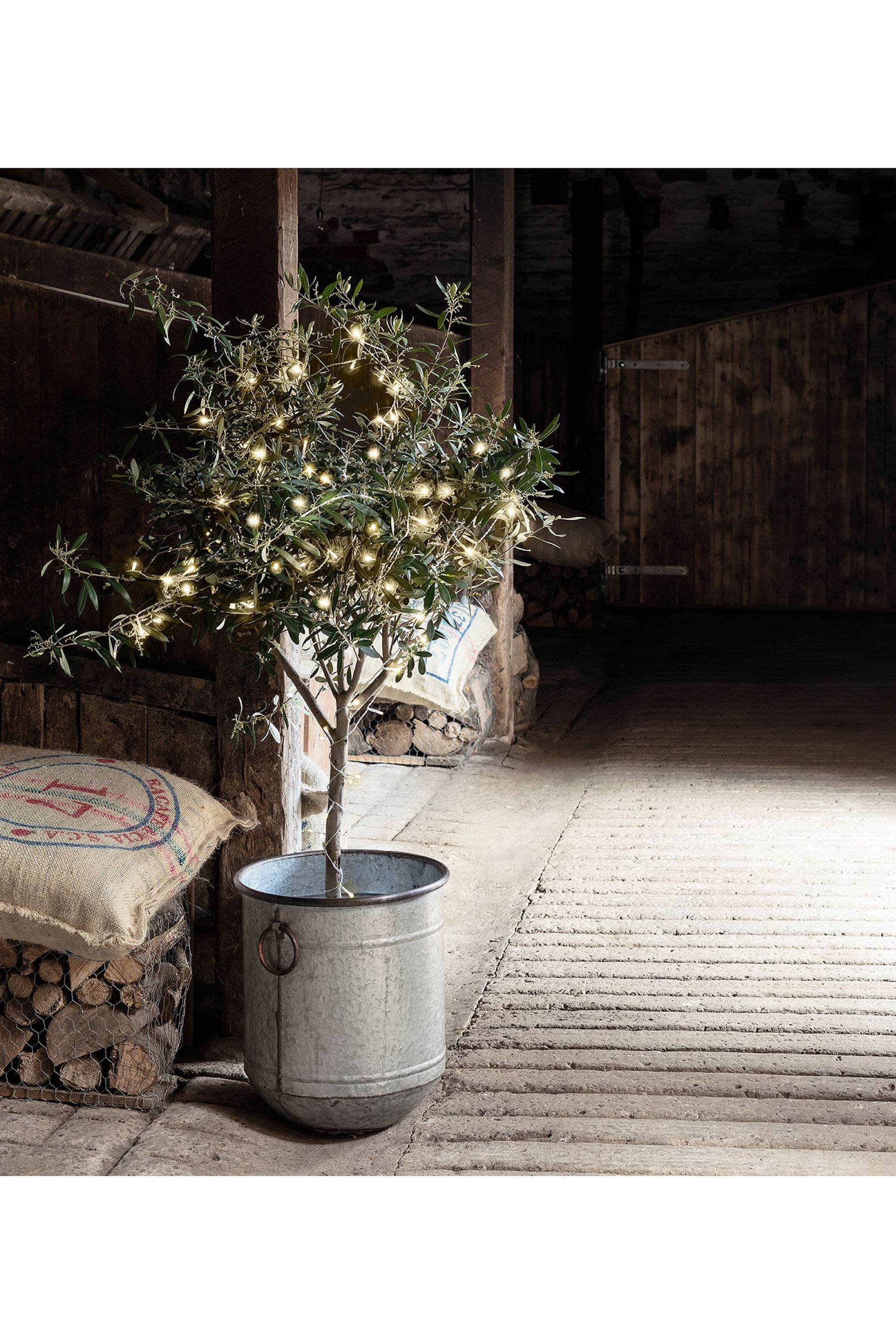 Buy Lights4fun Warm White 200 LED Outdoor Battery Fairy Lights from the ...