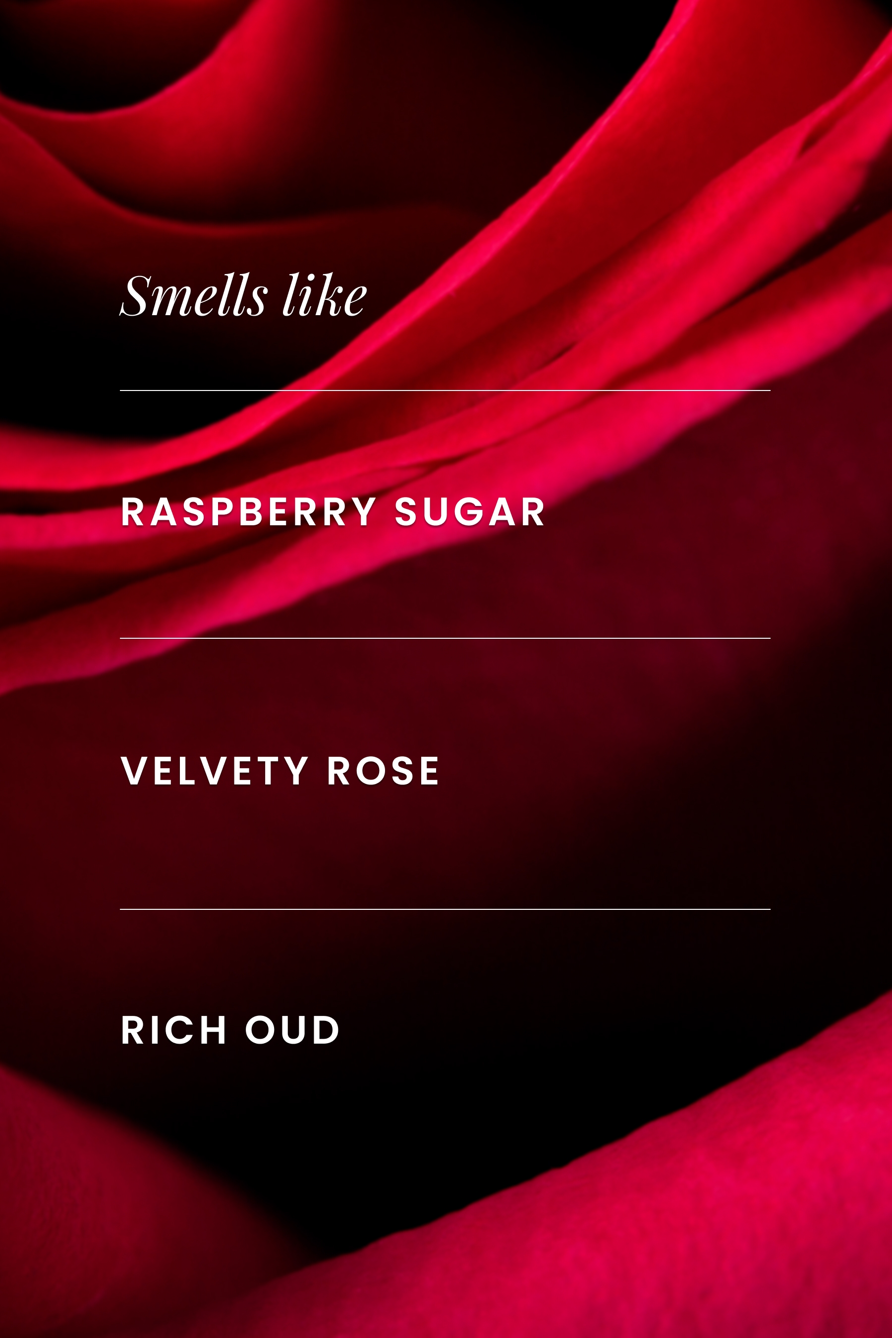 Buy Bath & Body Works Fine Fragrance Body Mist 8 fl oz / 236 mL from ...