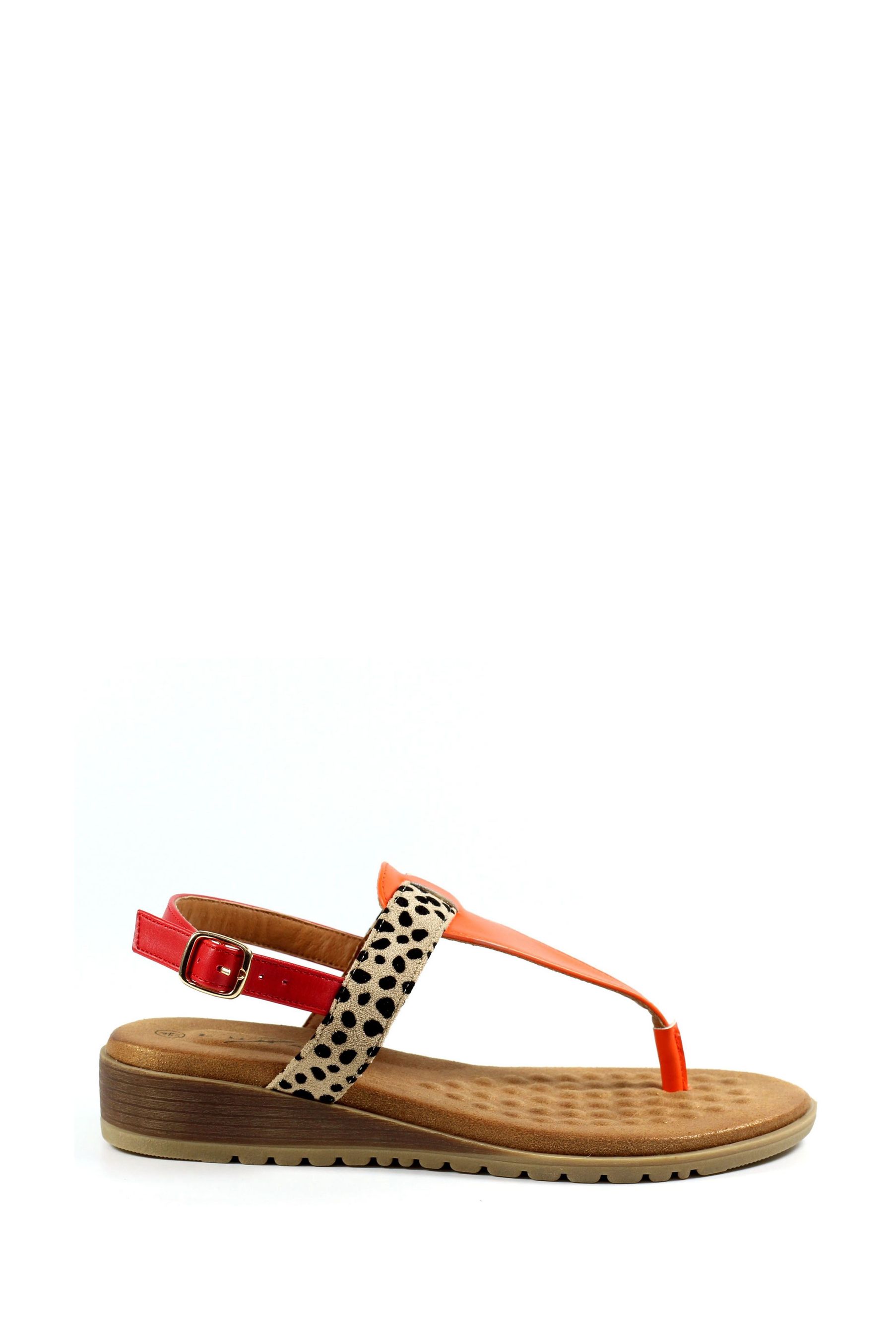 Buy Lunar Gina Toe Post Sandals from the Next UK online shop