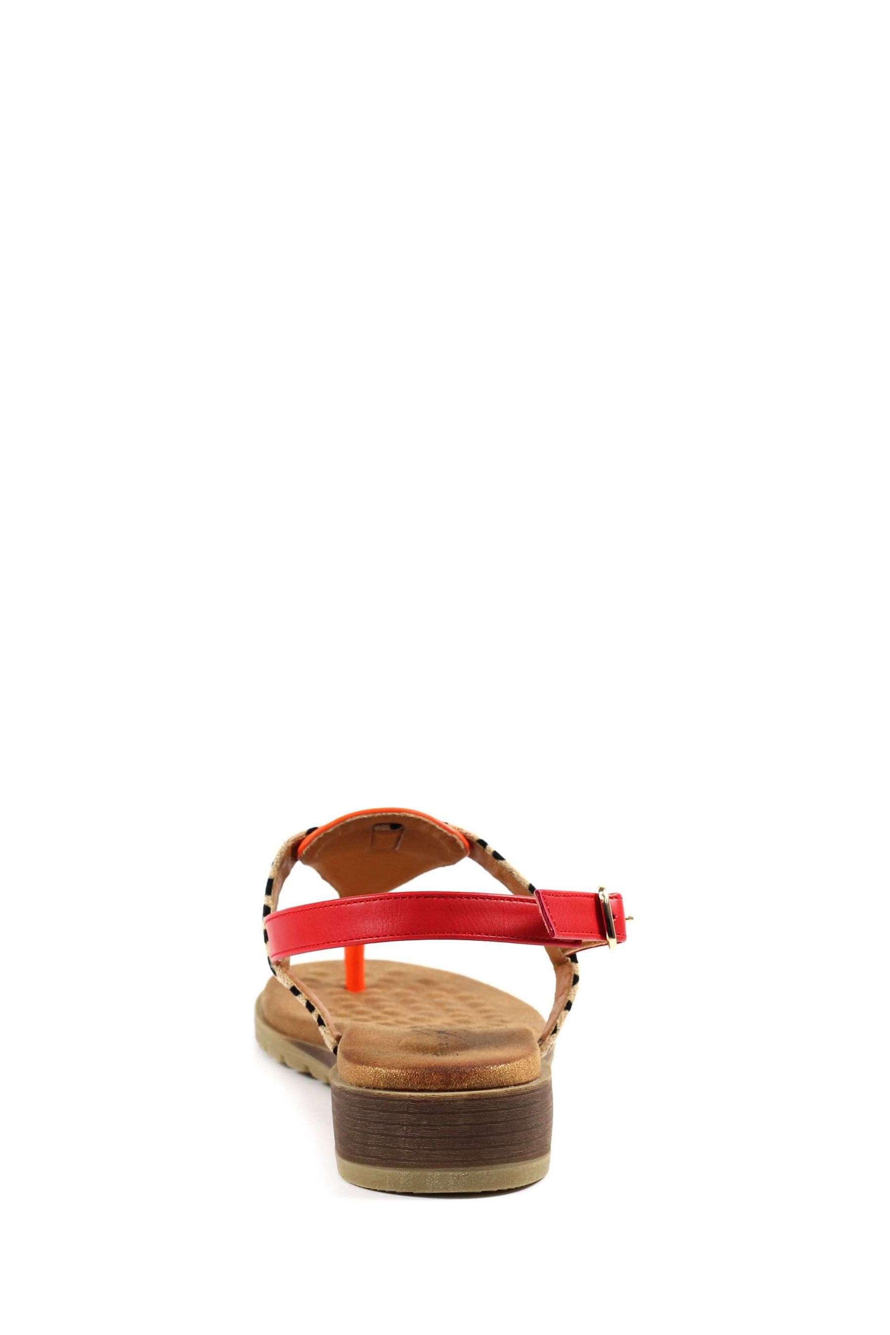 Buy Lunar Gina Toe Post Sandals from the Next UK online shop